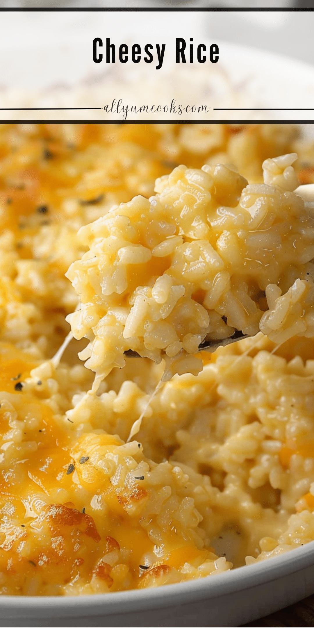 Cheesy Rice | All Yum Cooks