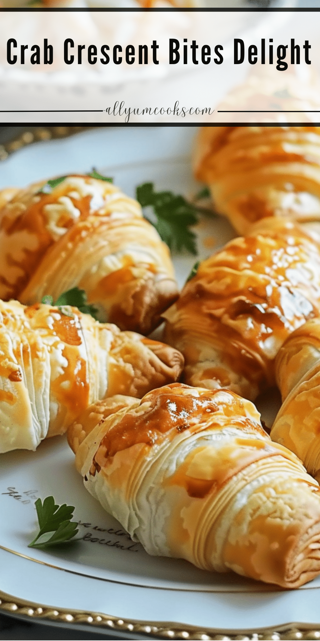 Crab Crescent Bites Delight | All Yum Cooks
