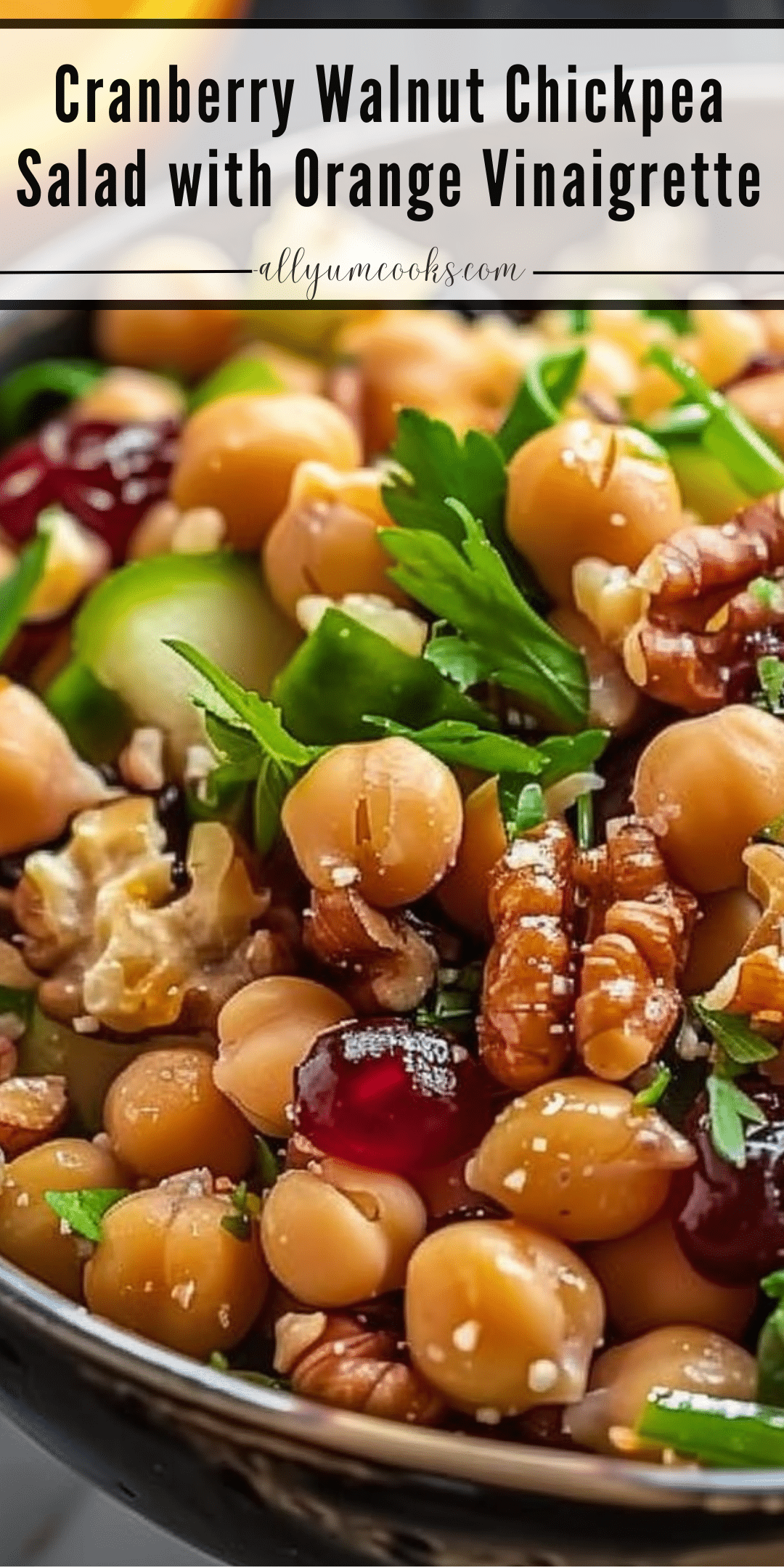 Cranberry Walnut Chickpea Salad with Orange Vinaigrette | All Yum Cooks