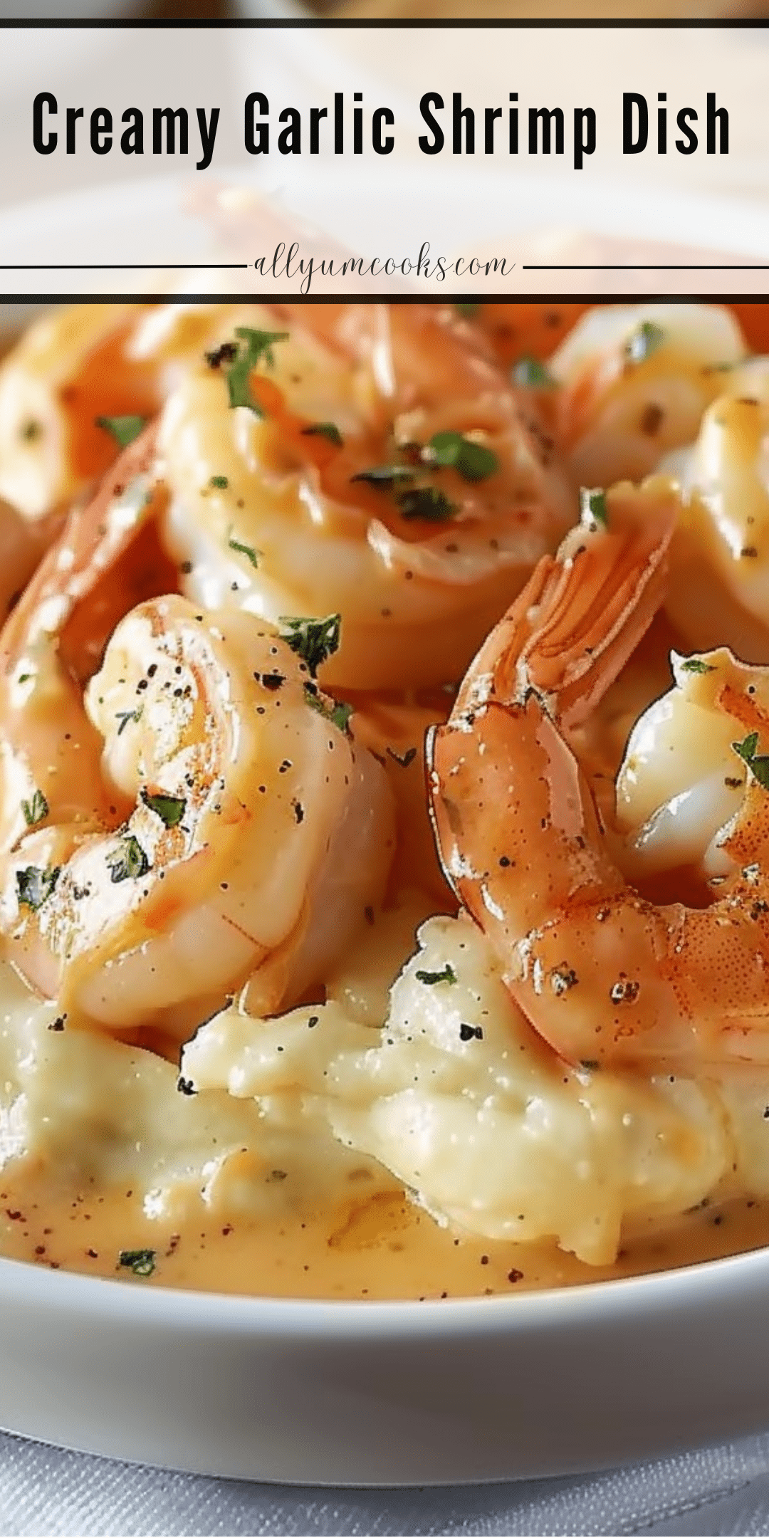 Creamy Garlic Shrimp Dish | All Yum Cooks