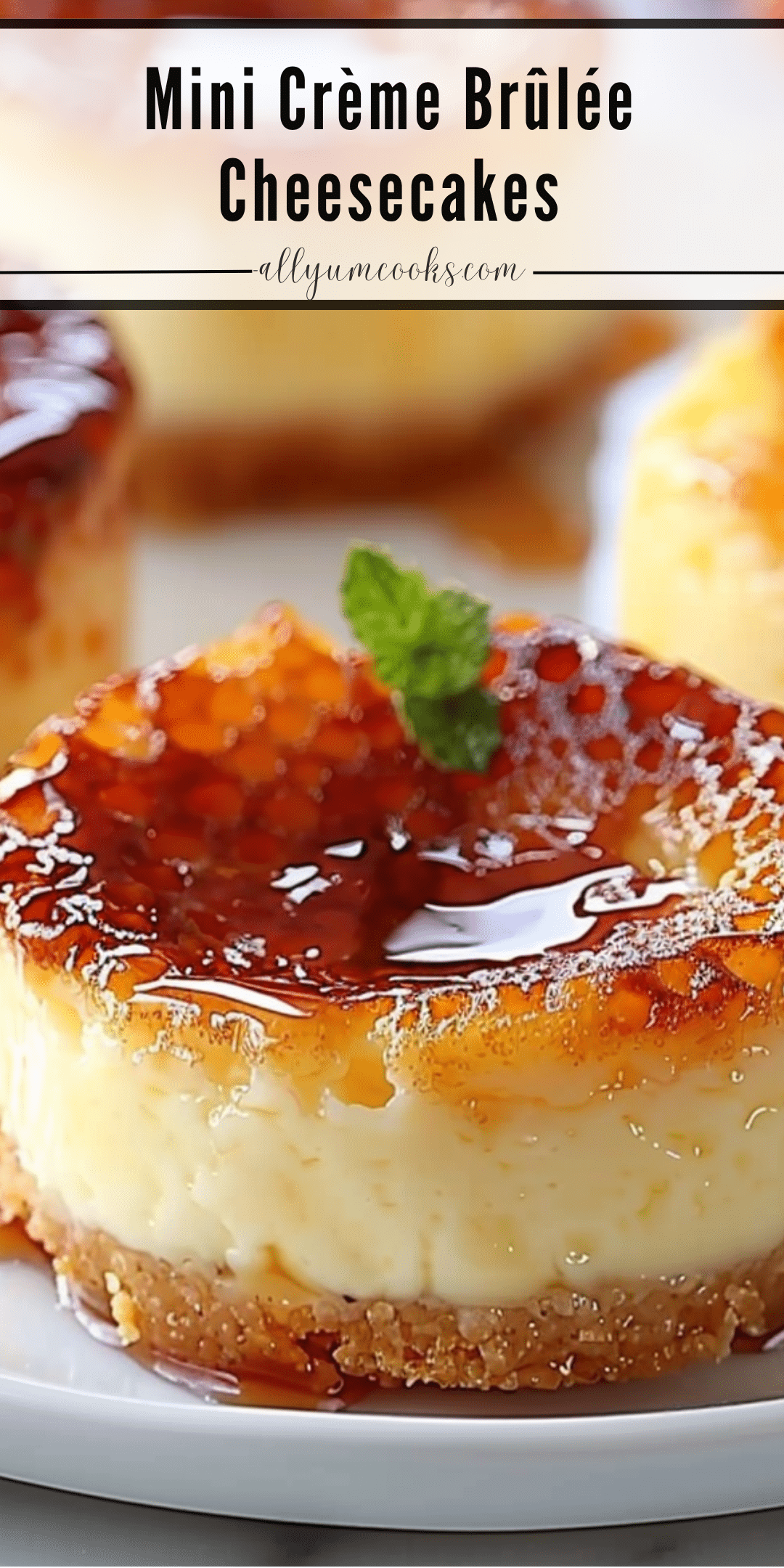 Mini Crème Brûlée Cheesecakes | All Yum Cooks