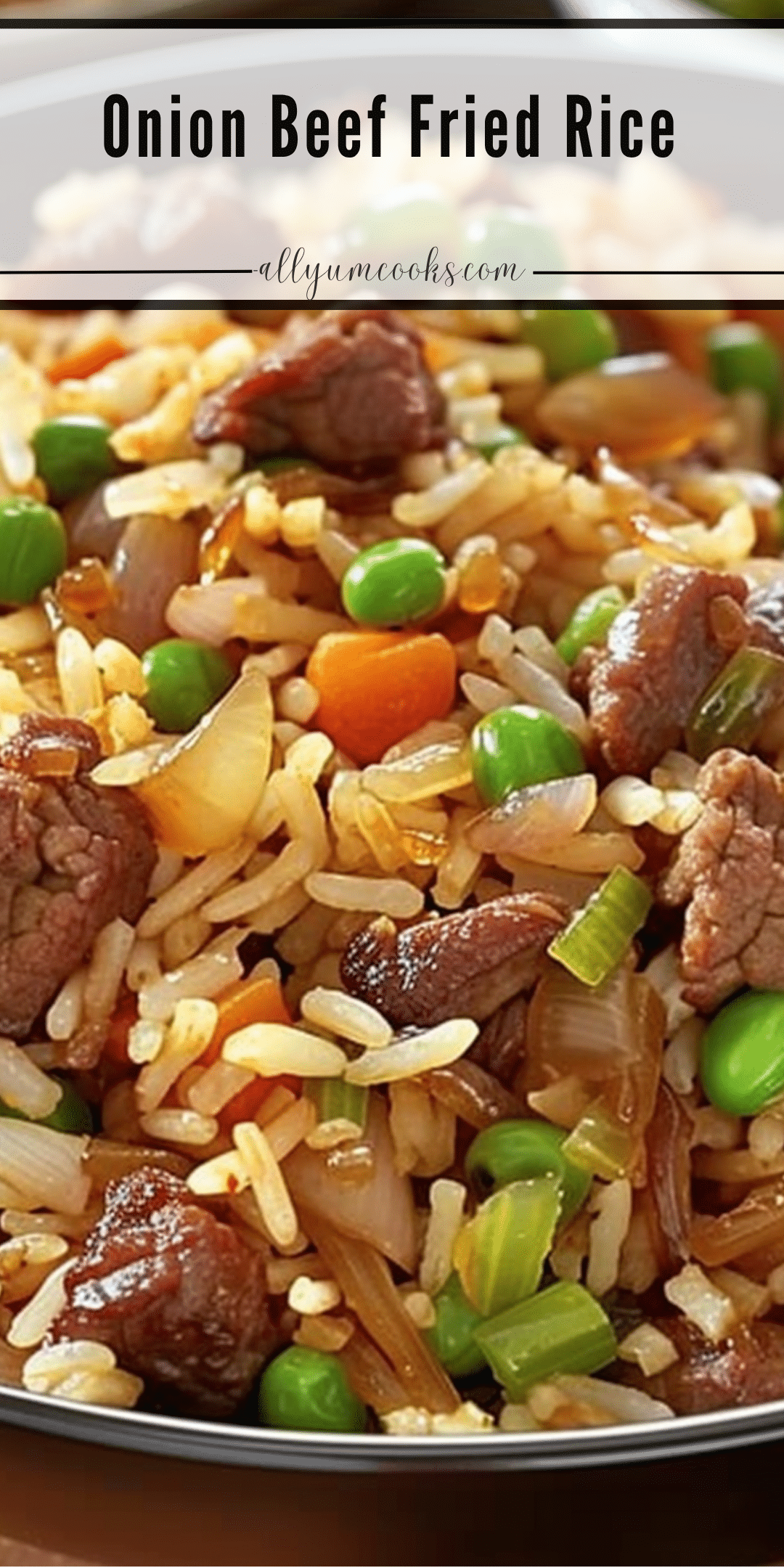 Onion Beef Fried Rice - All Yum Cooks