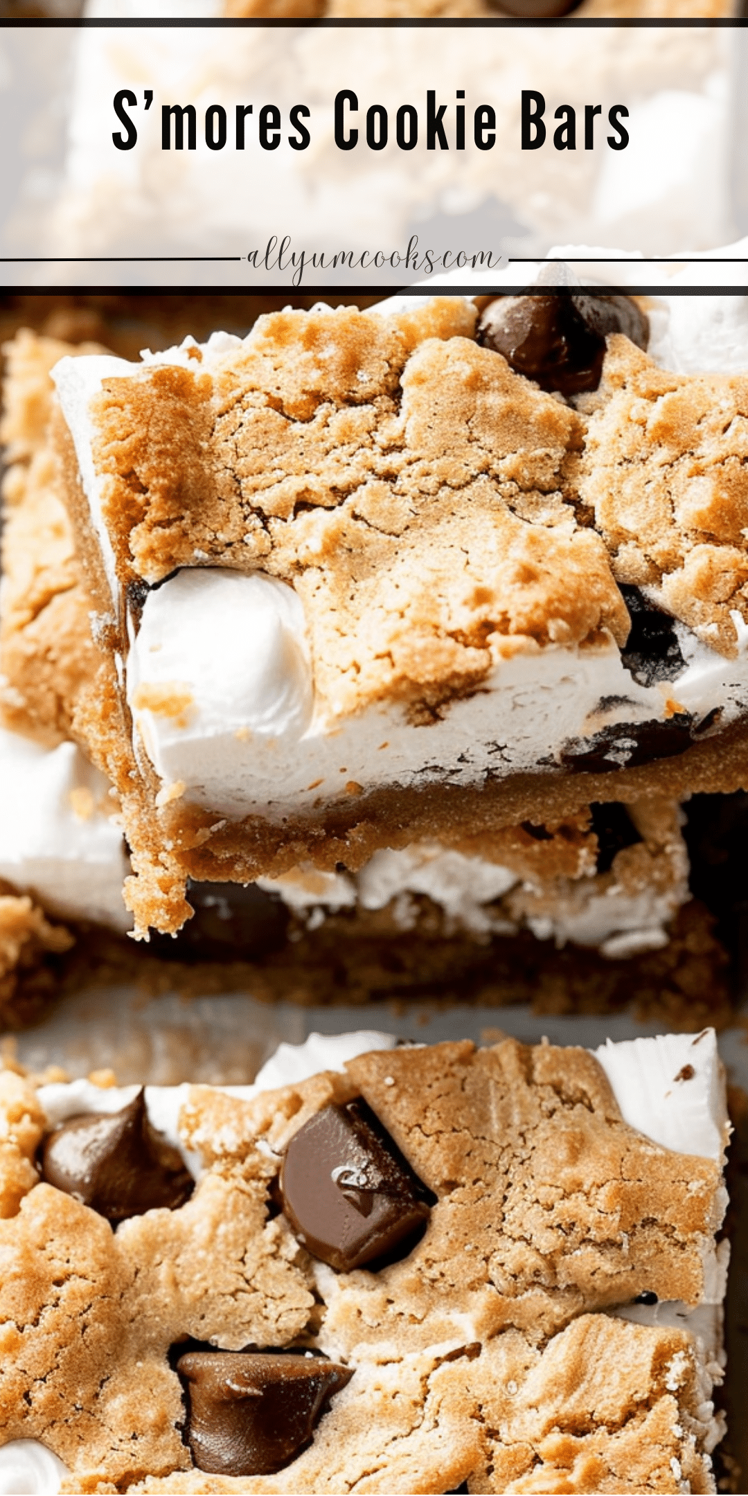 Fudgy Chocolate Brownie Cookies - All Yum Cooks