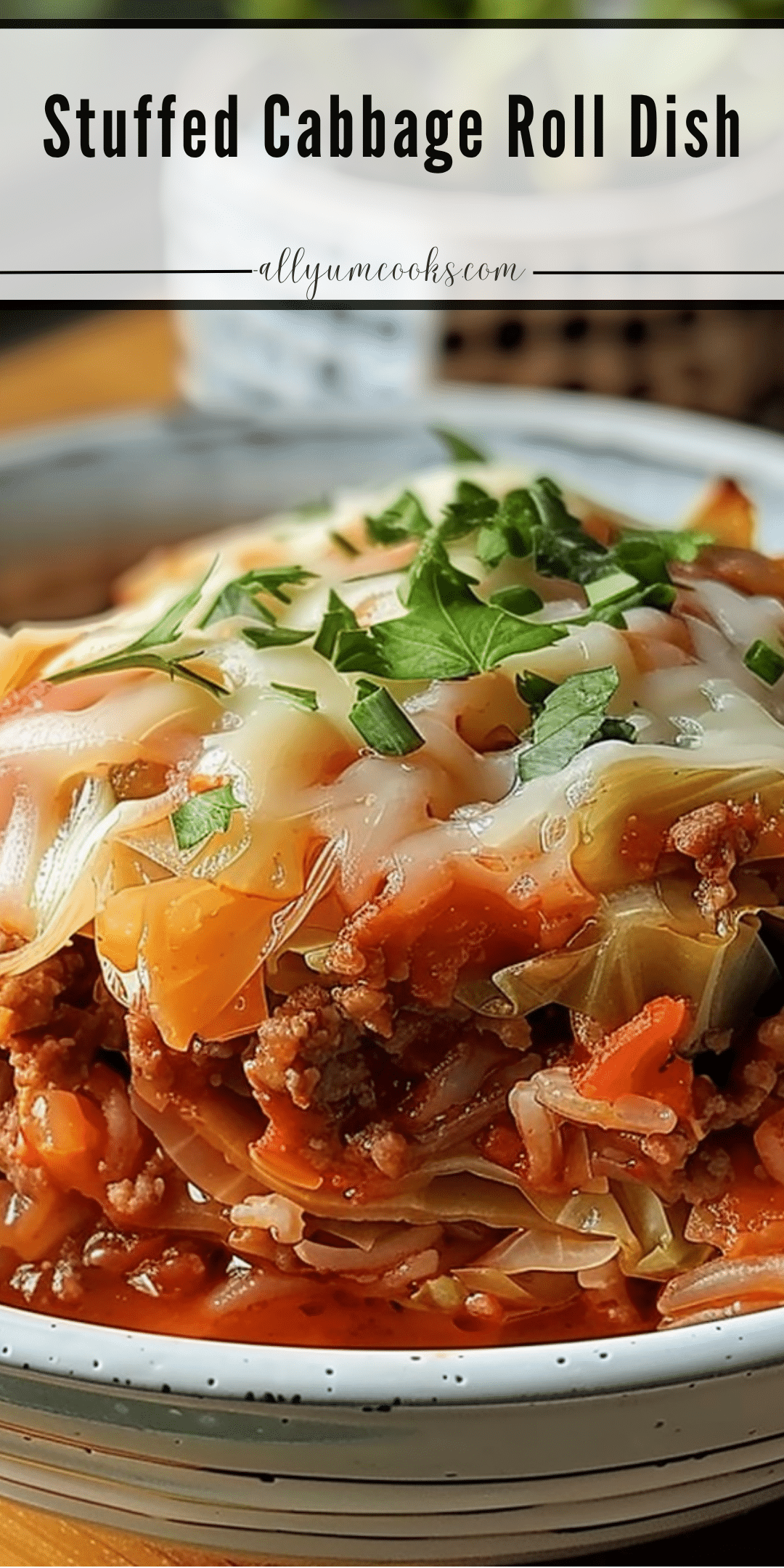 Stuffed Cabbage Roll Dish | All Yum Cooks