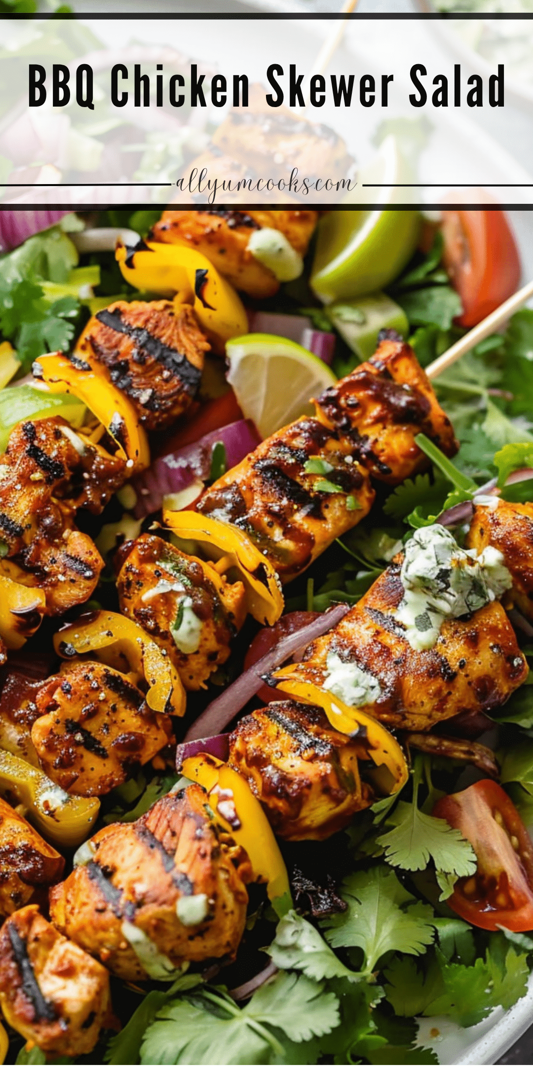 BBQ Chicken Skewer Salad | All Yum Cooks