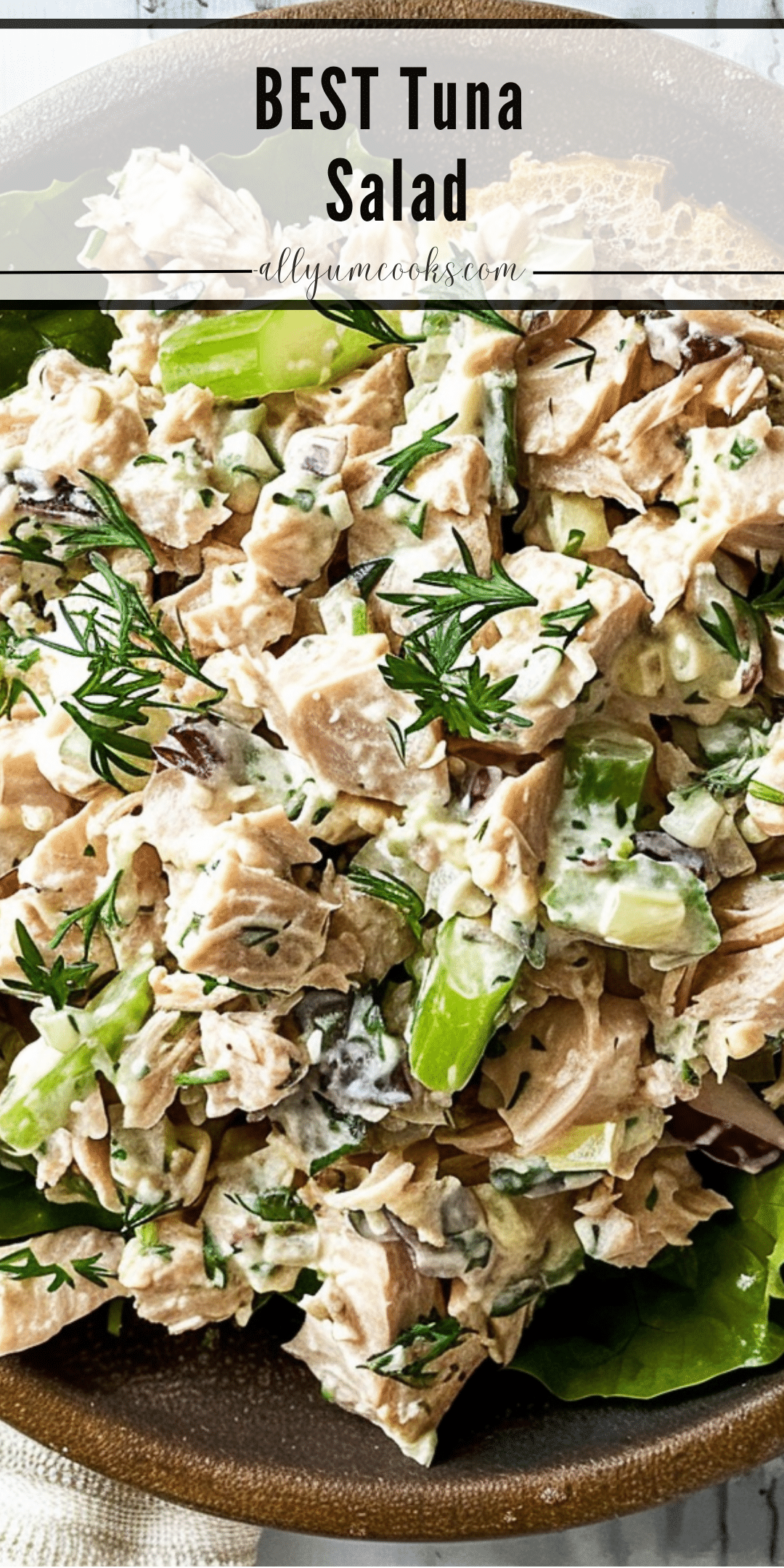 BEST Tuna Salad - All Yum Cooks