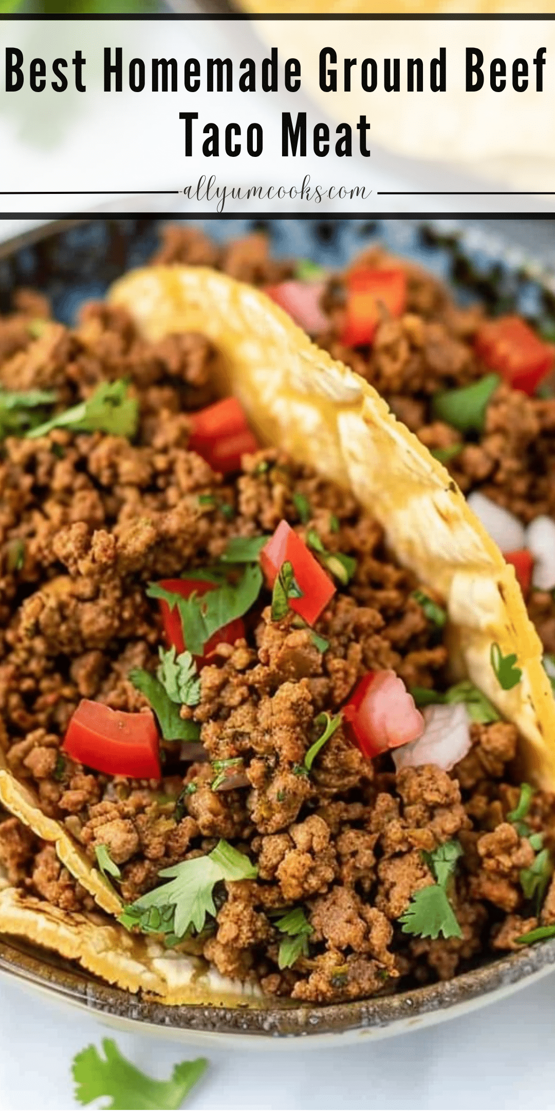 Best Homemade Ground Beef Taco Meat | All Yum Cooks