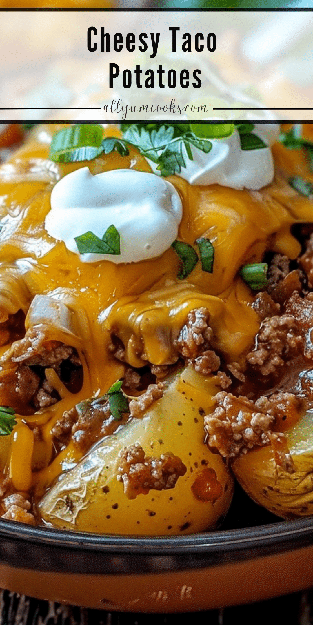 Cheesy Taco Potatoes | All Yum Cooks