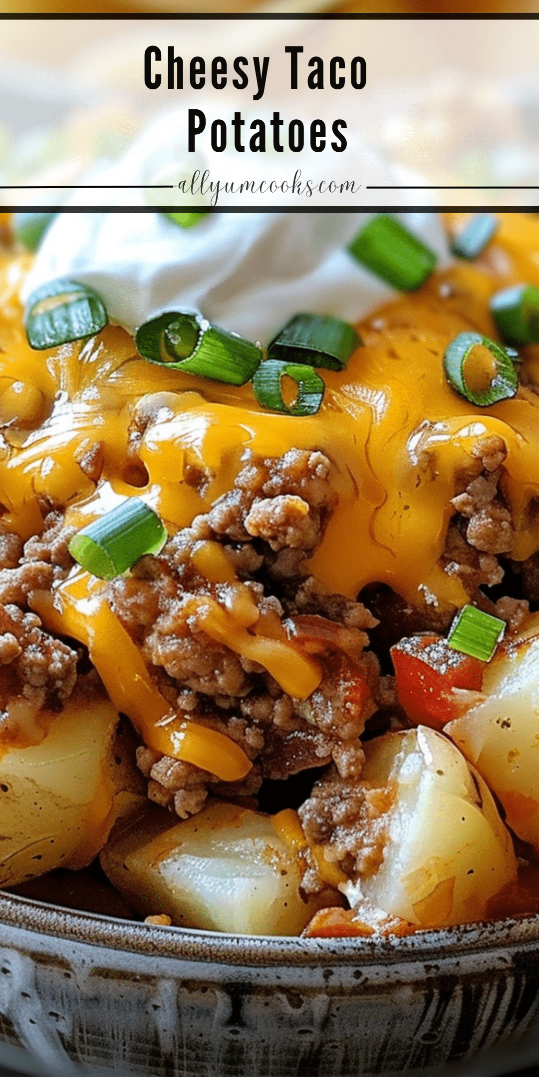 Cheesy Taco Potatoes | All Yum Cooks