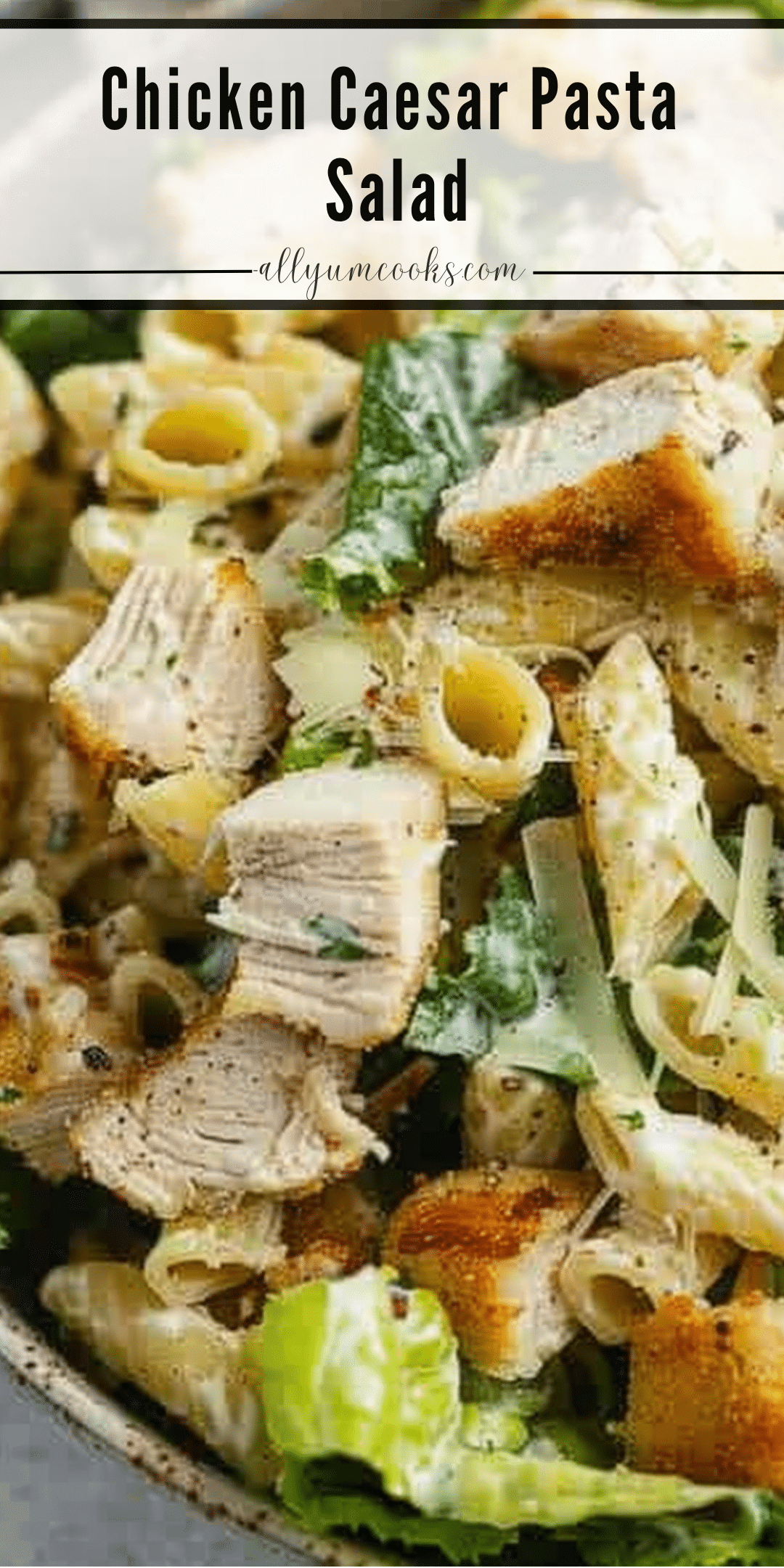 Chicken Caesar Pasta Salad - All Yum Cooks