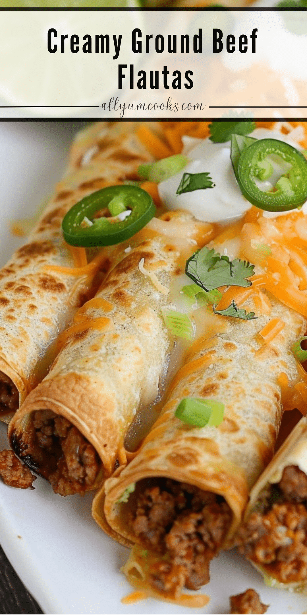 Brat Burgers - All Yum Cooks