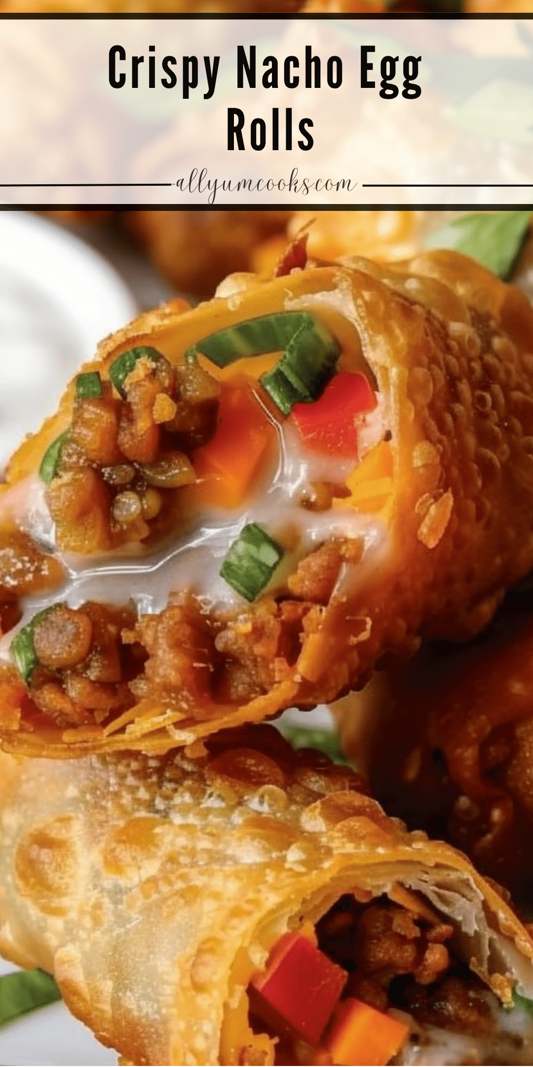 Crispy Nacho Egg Rolls - All Yum Cooks