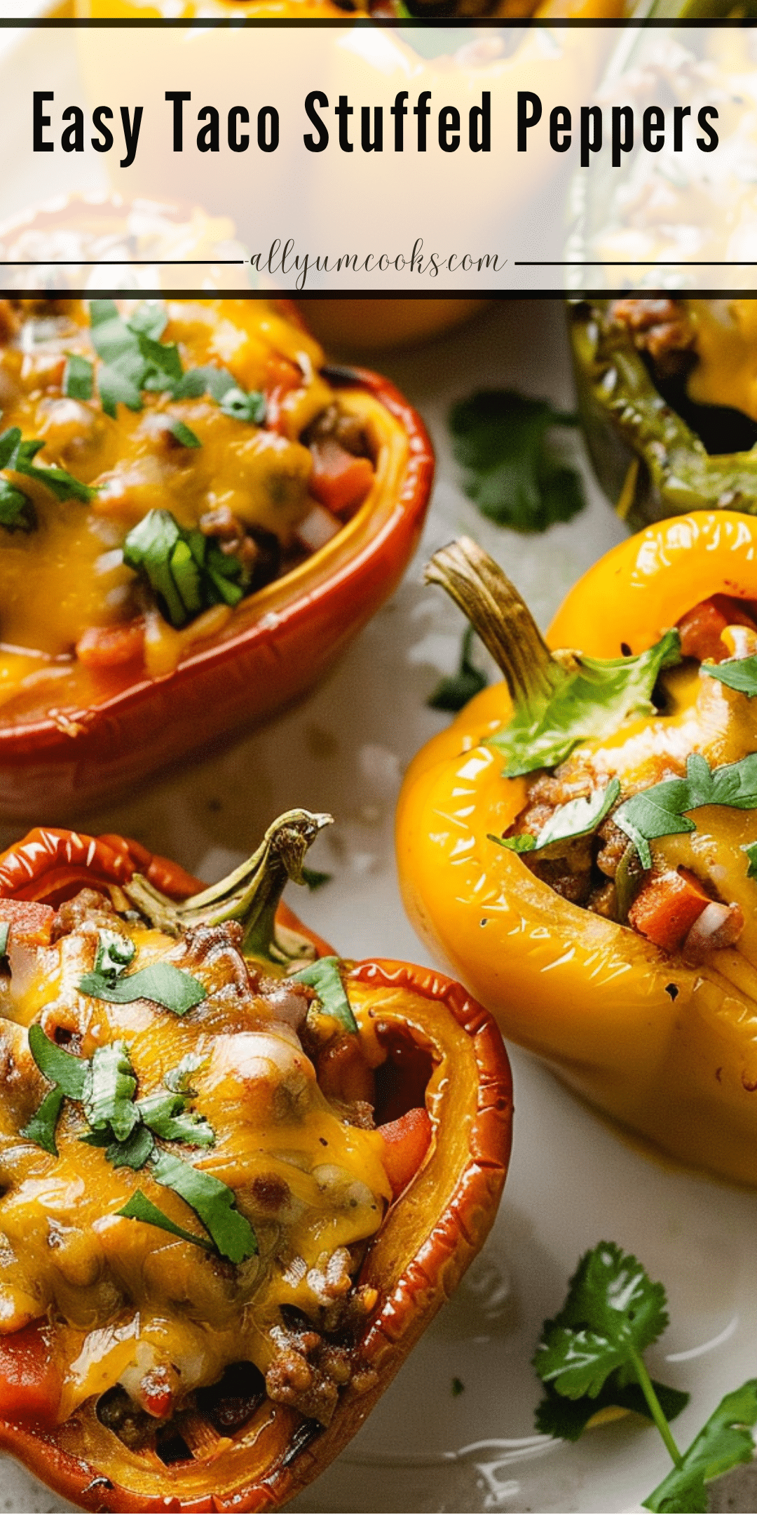 Easy Taco Stuffed Peppers | All Yum Cooks