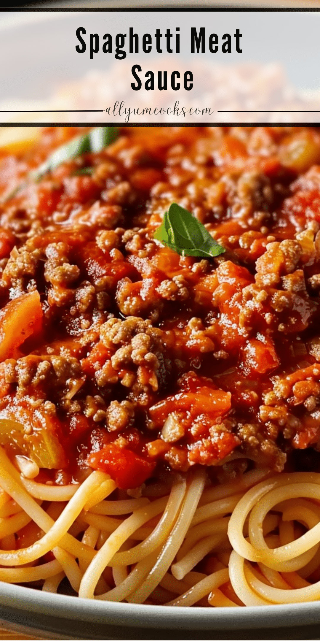 Spaghetti Meat Sauce - All Yum Cooks