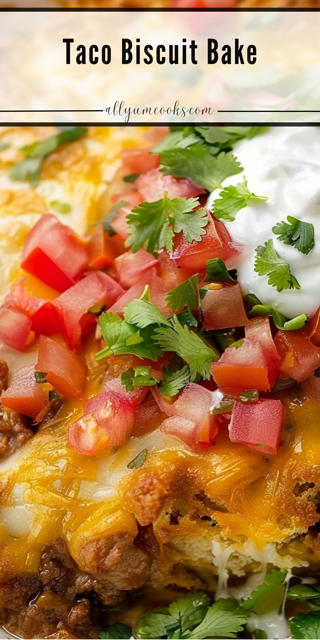 Taco Biscuit Bake | All Yum Cooks