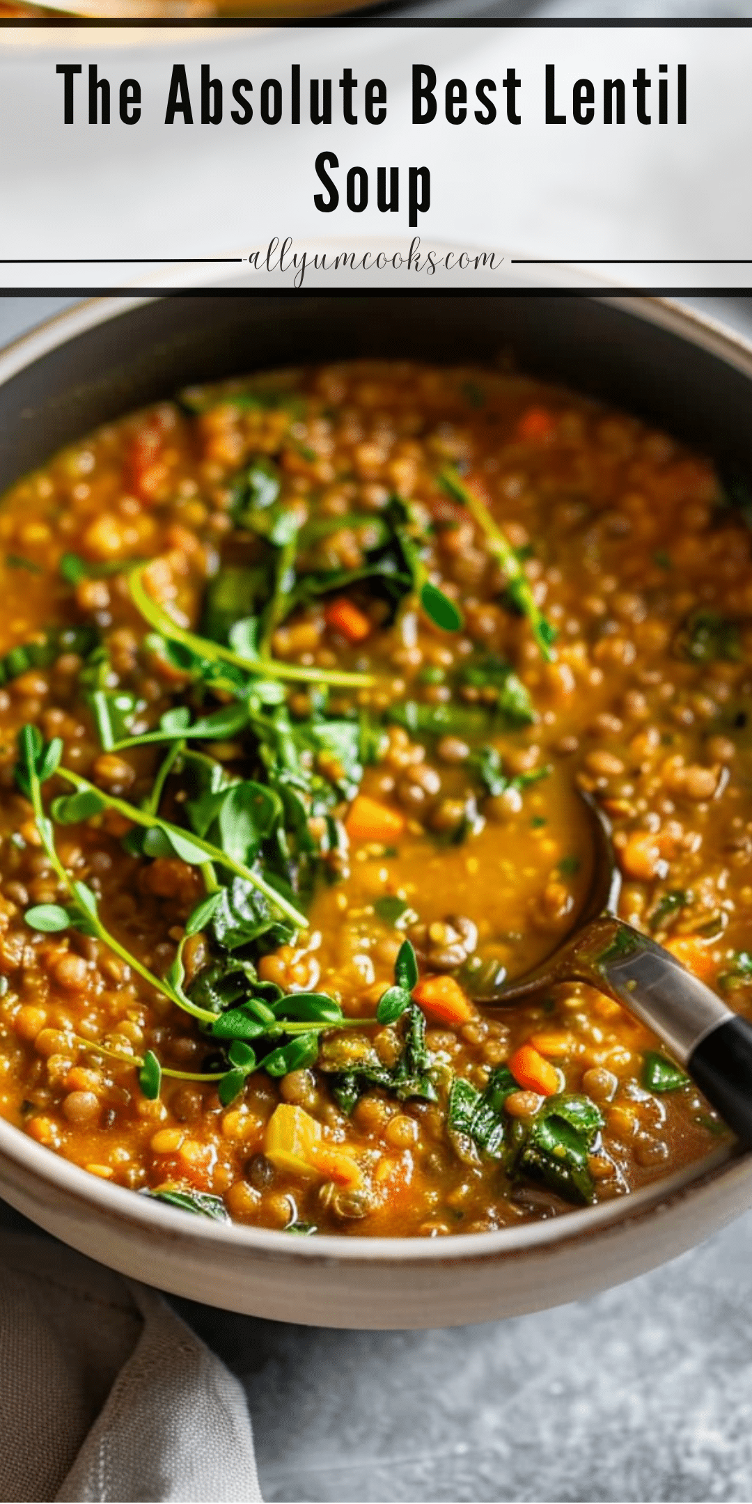 The Absolute Best Lentil Soup | All Yum Cooks
