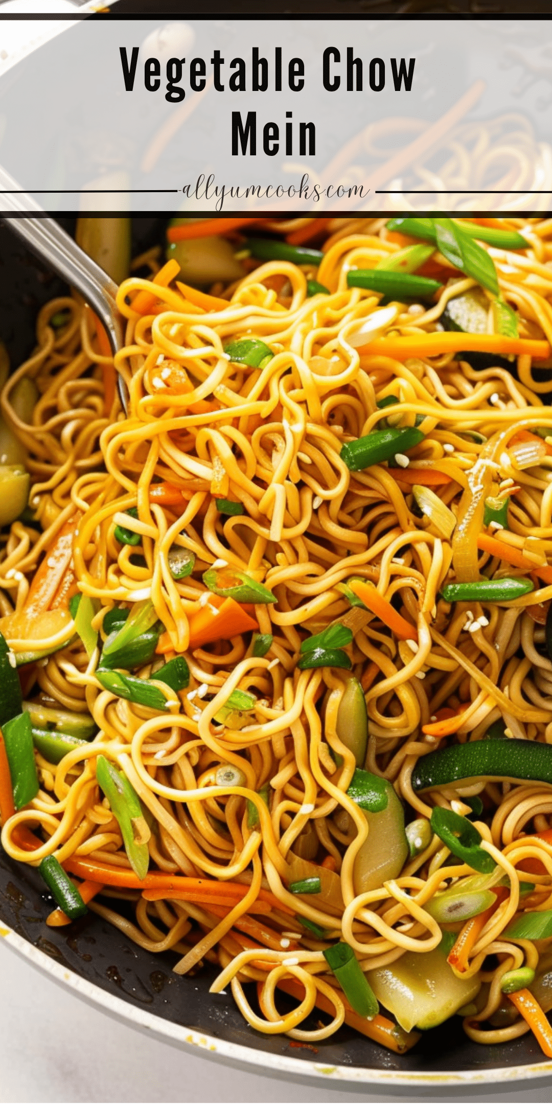Vegetable Chow Mein - All Yum Cooks
