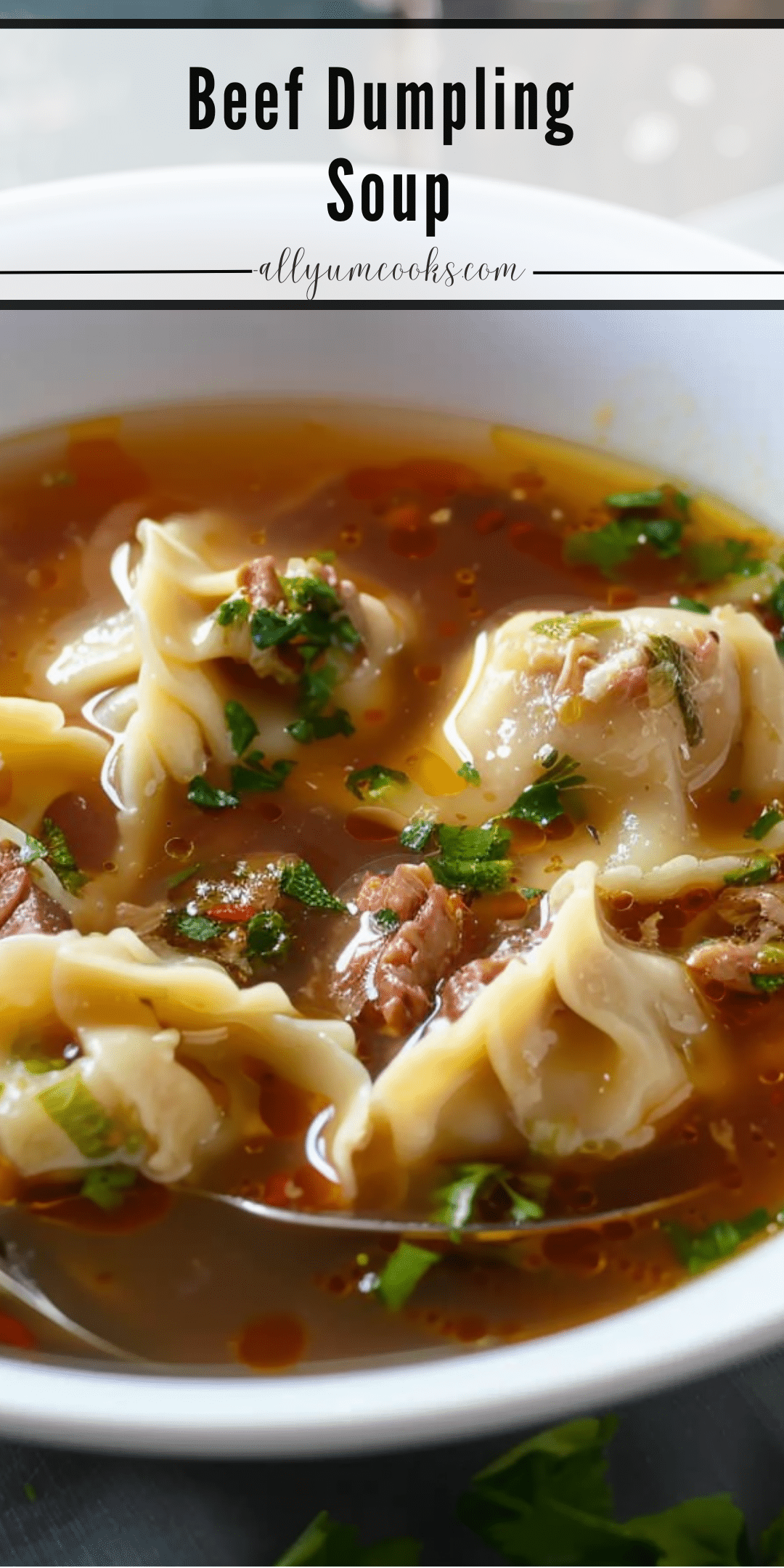Beef Dumpling Soup | All Yum Cooks