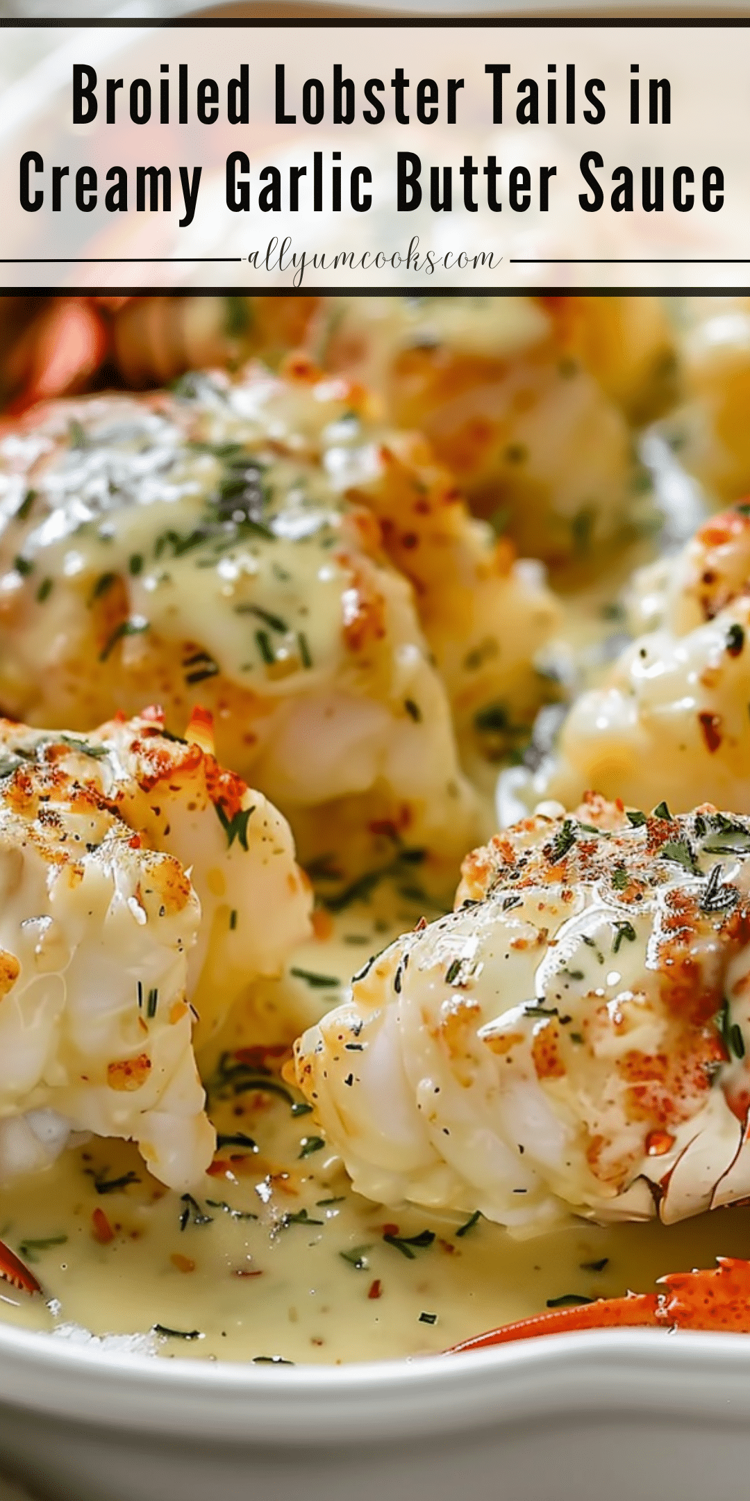 Broiled Lobster Tails in Creamy Garlic Butter Sauce - All Yum Cooks