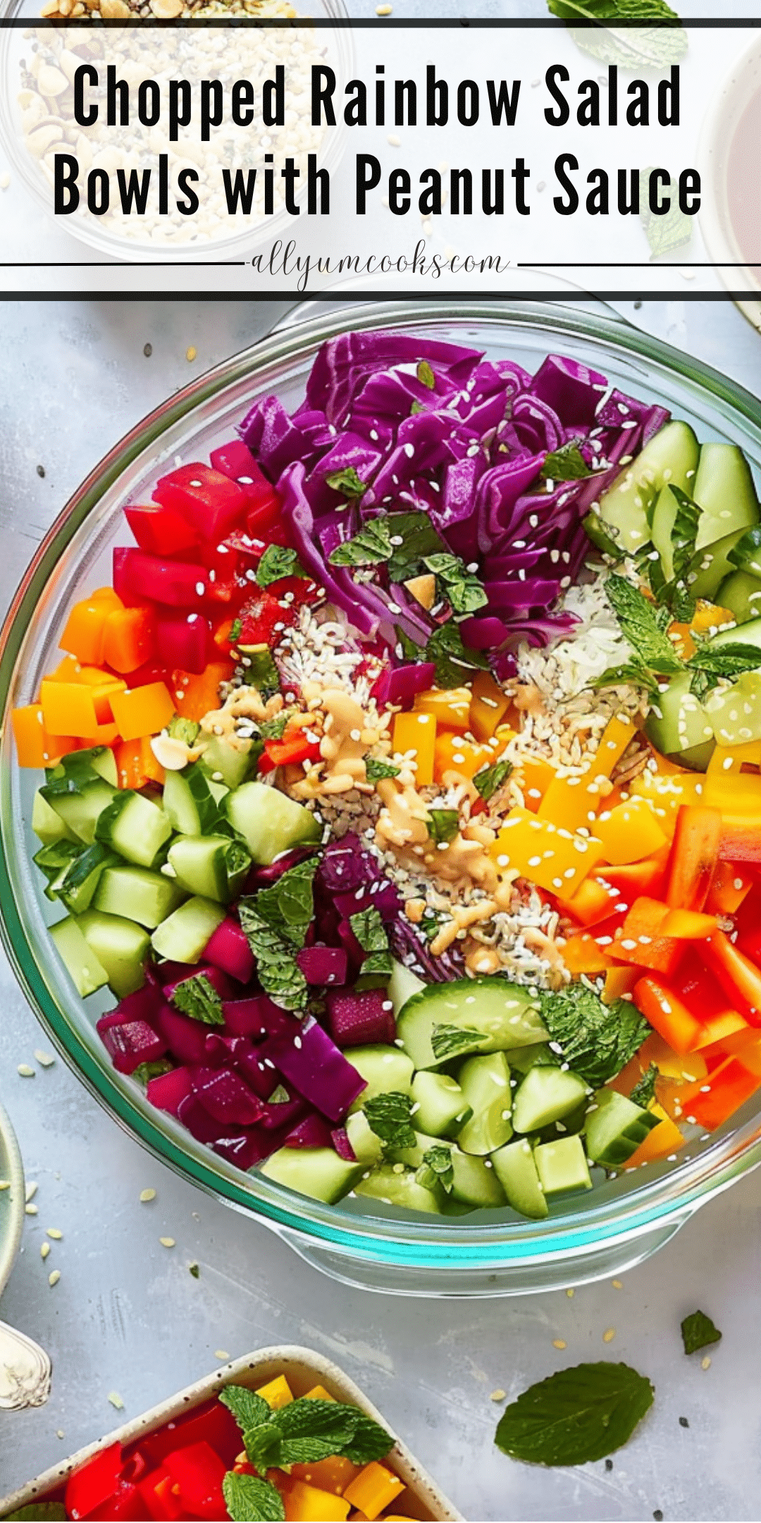 Chopped Rainbow Salad Bowls with Peanut Sauce | All Yum Cooks
