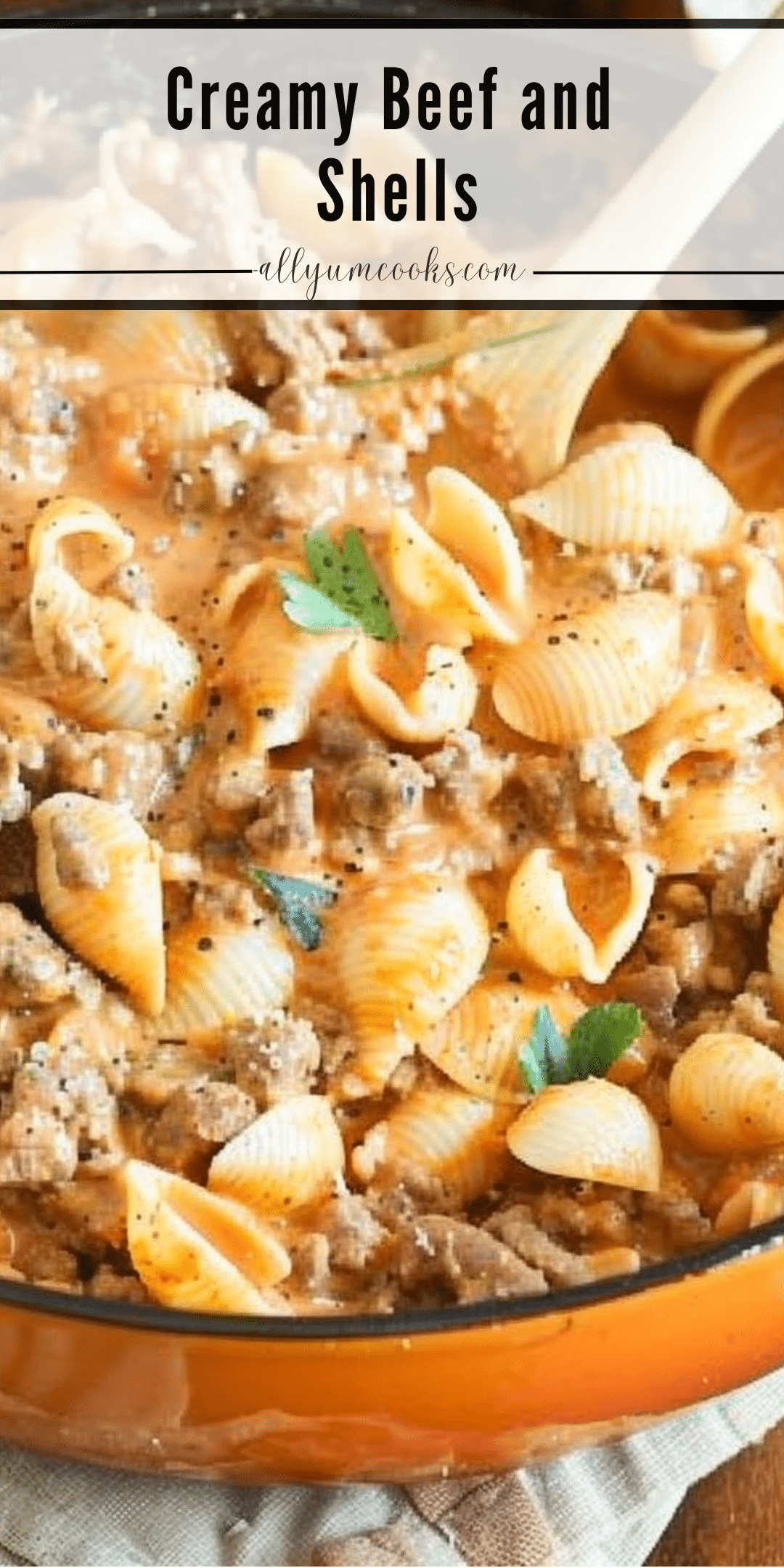 Creamy Beef and Shells | All Yum Cooks