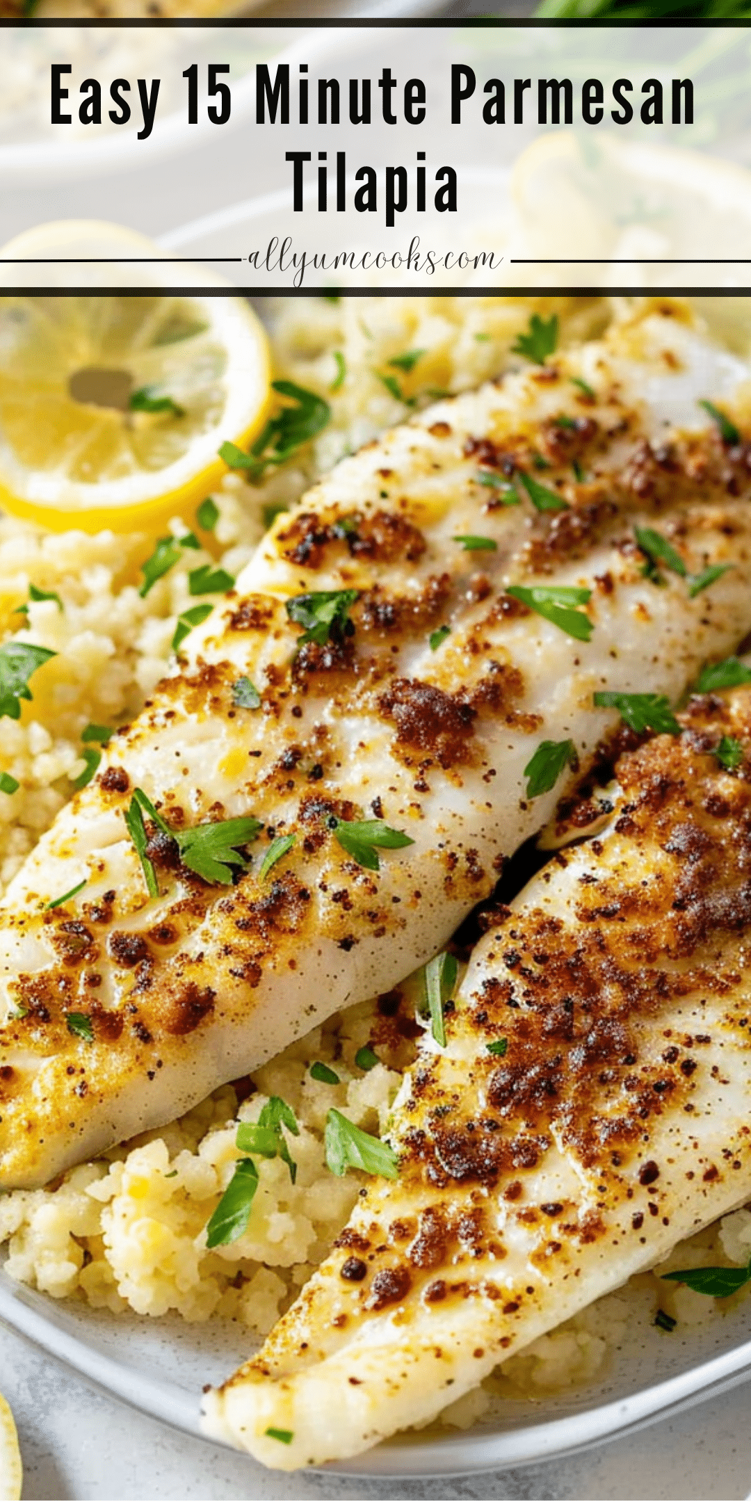 Easy 15 Minute Parmesan Tilapia | All Yum Cooks