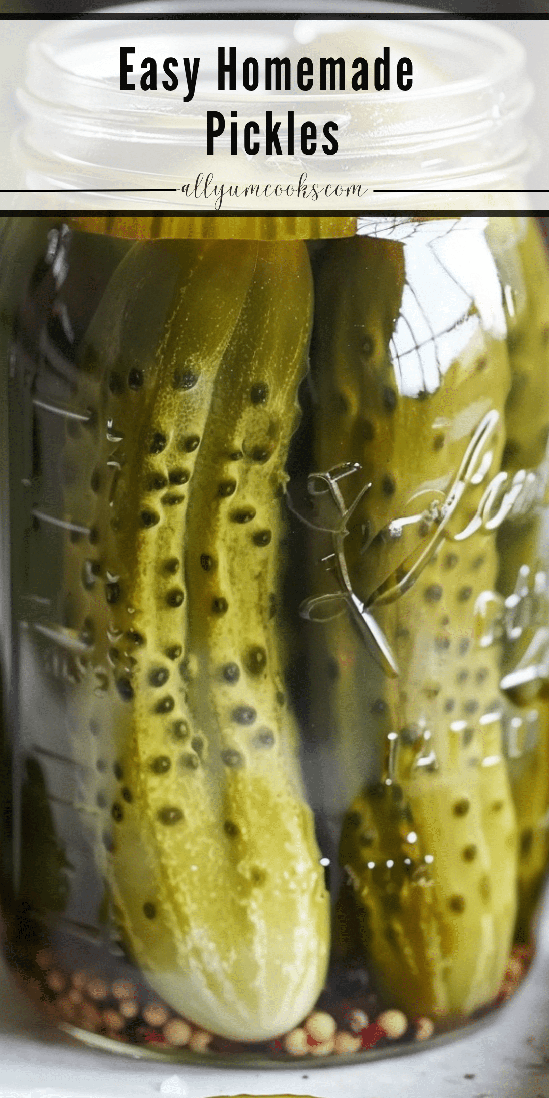 Easy Homemade Pickles | All Yum Cooks