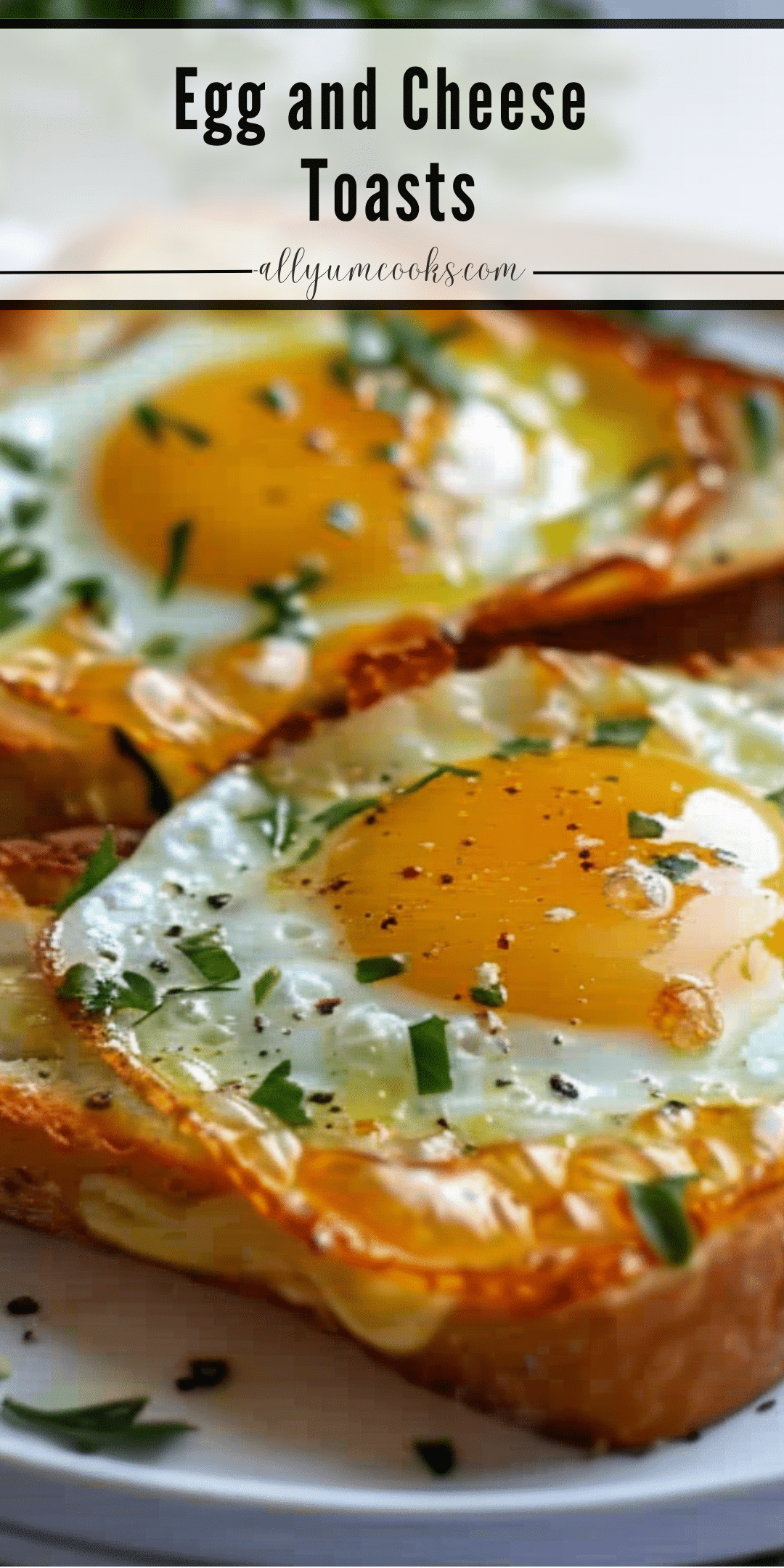 Egg and Cheese Toasts | All Yum Cooks
