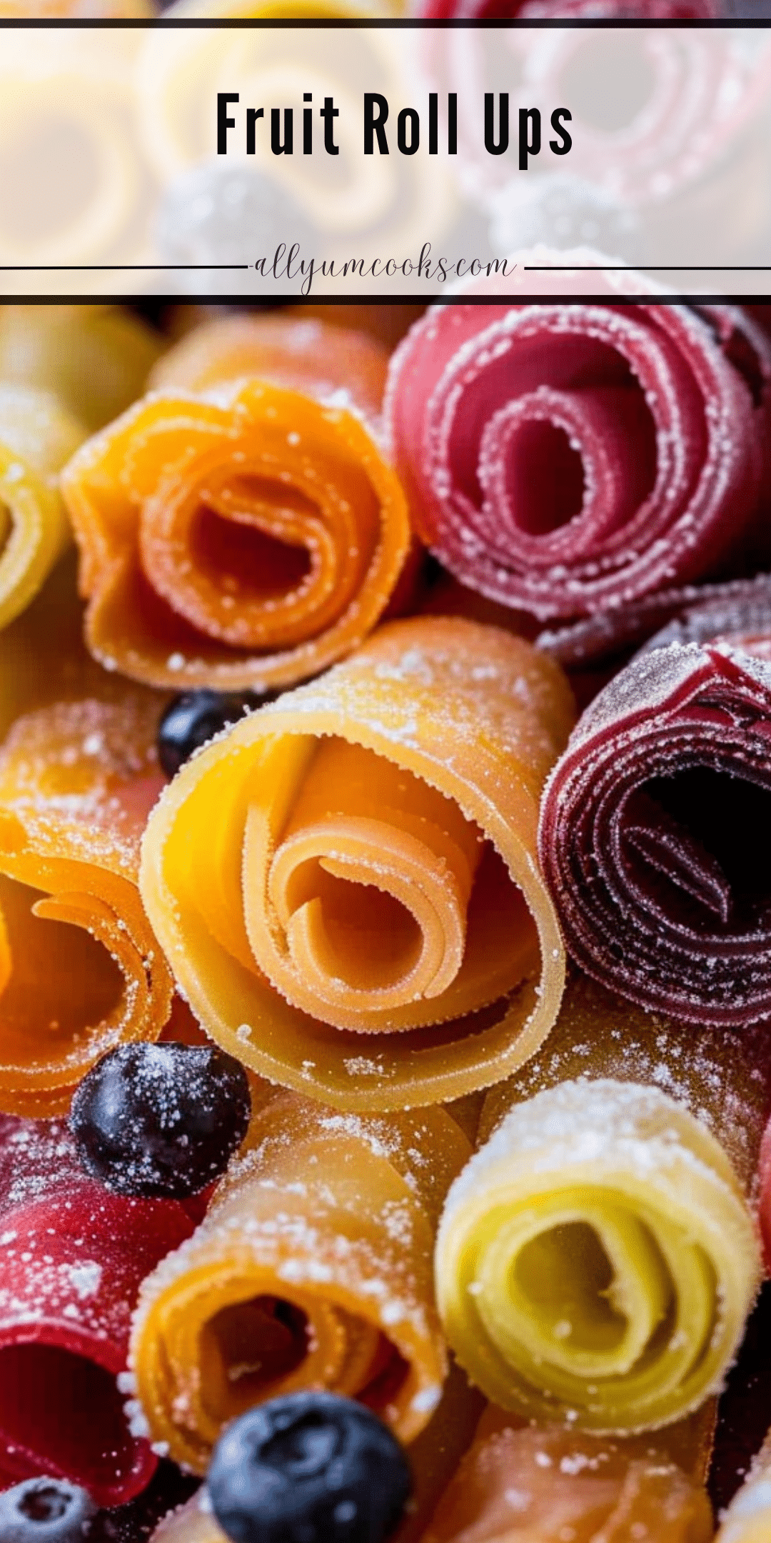 Fruit Roll Ups | All Yum Cooks