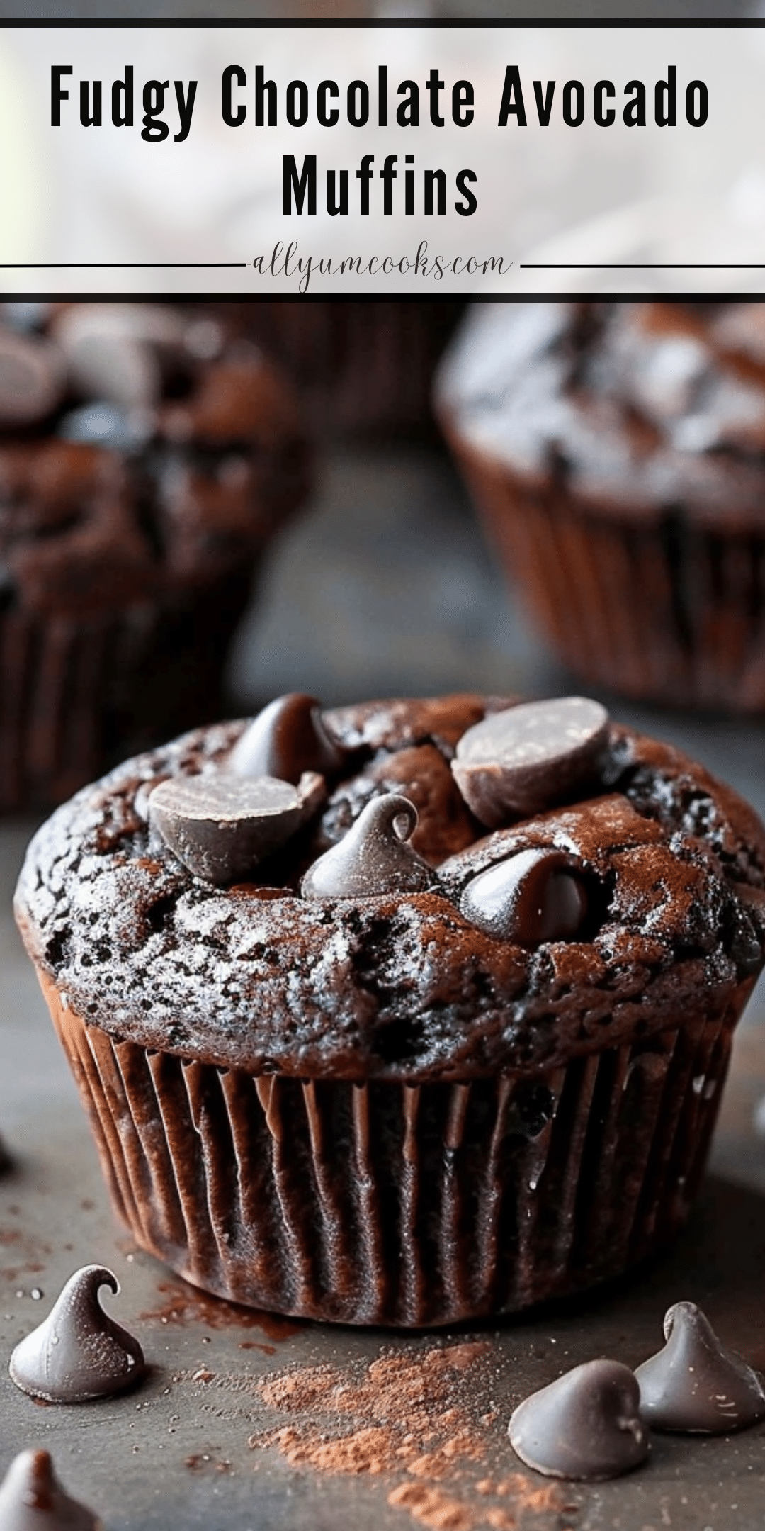 Fudgy Chocolate Avocado Muffins | All Yum Cooks