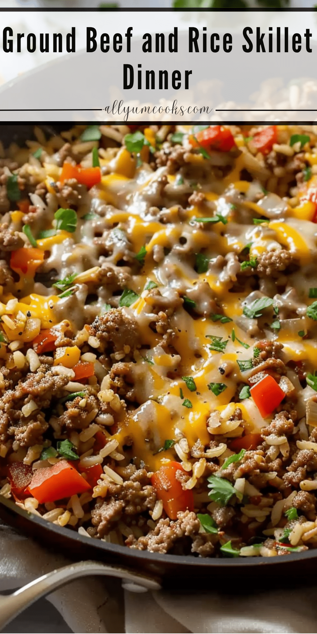 Ground Beef and Rice Skillet Dinner | All Yum Cooks