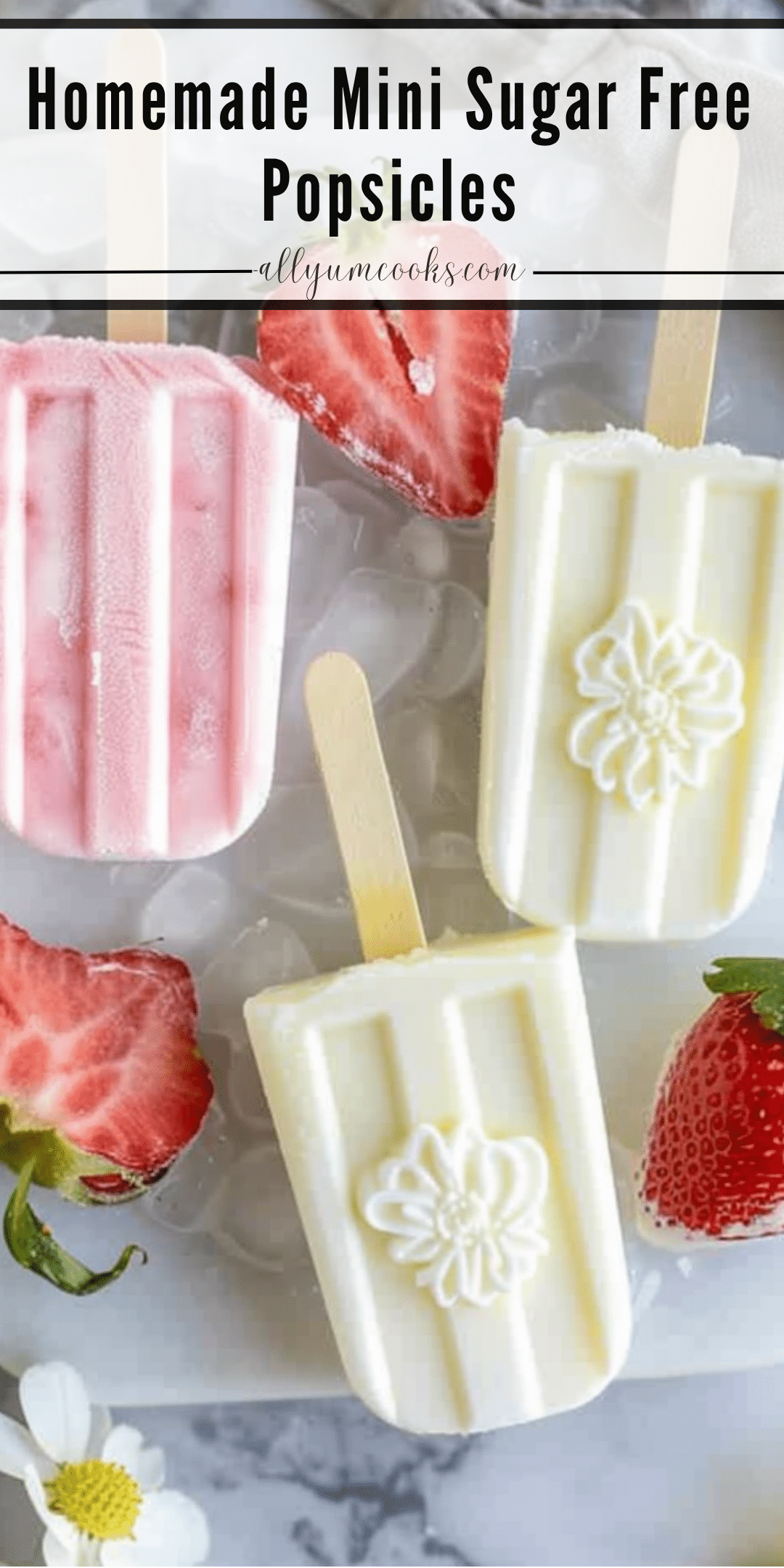 Homemade Mini Sugar-Free Popsicles | All Yum Cooks