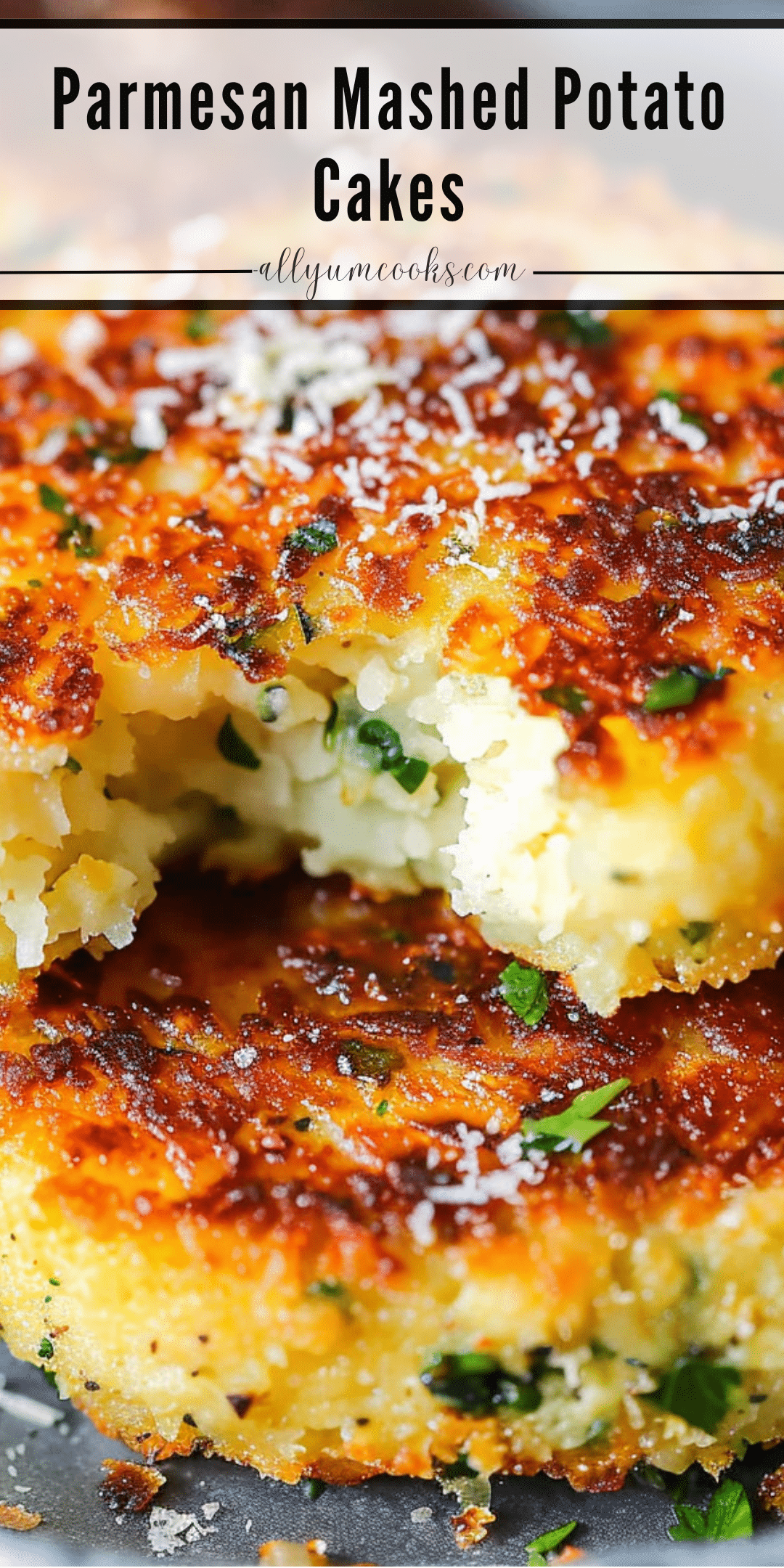 Parmesan Mashed Potato Cakes | All Yum Cooks