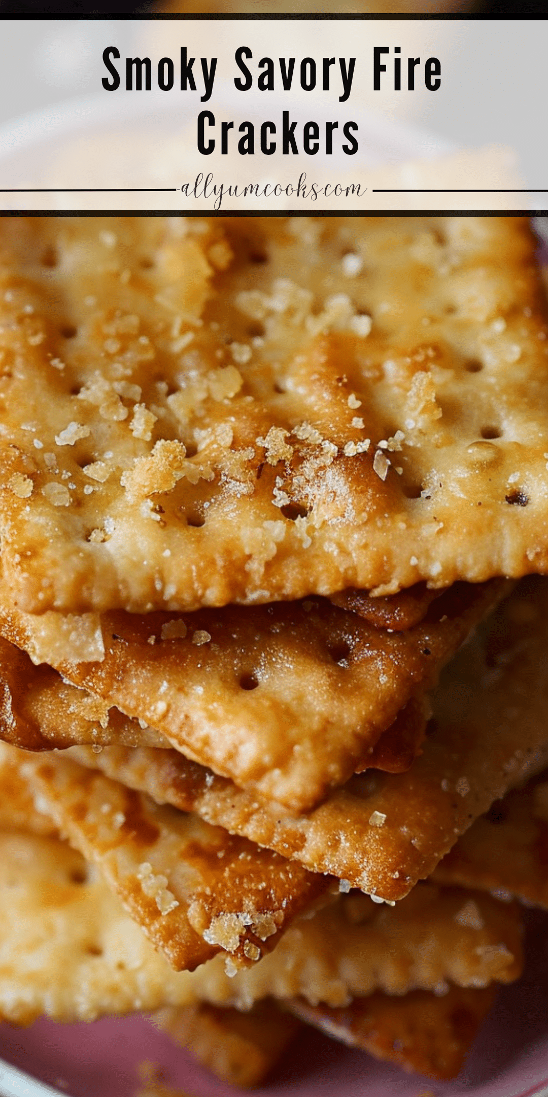 Smoky Savory Fire Crackers | All Yum Cooks