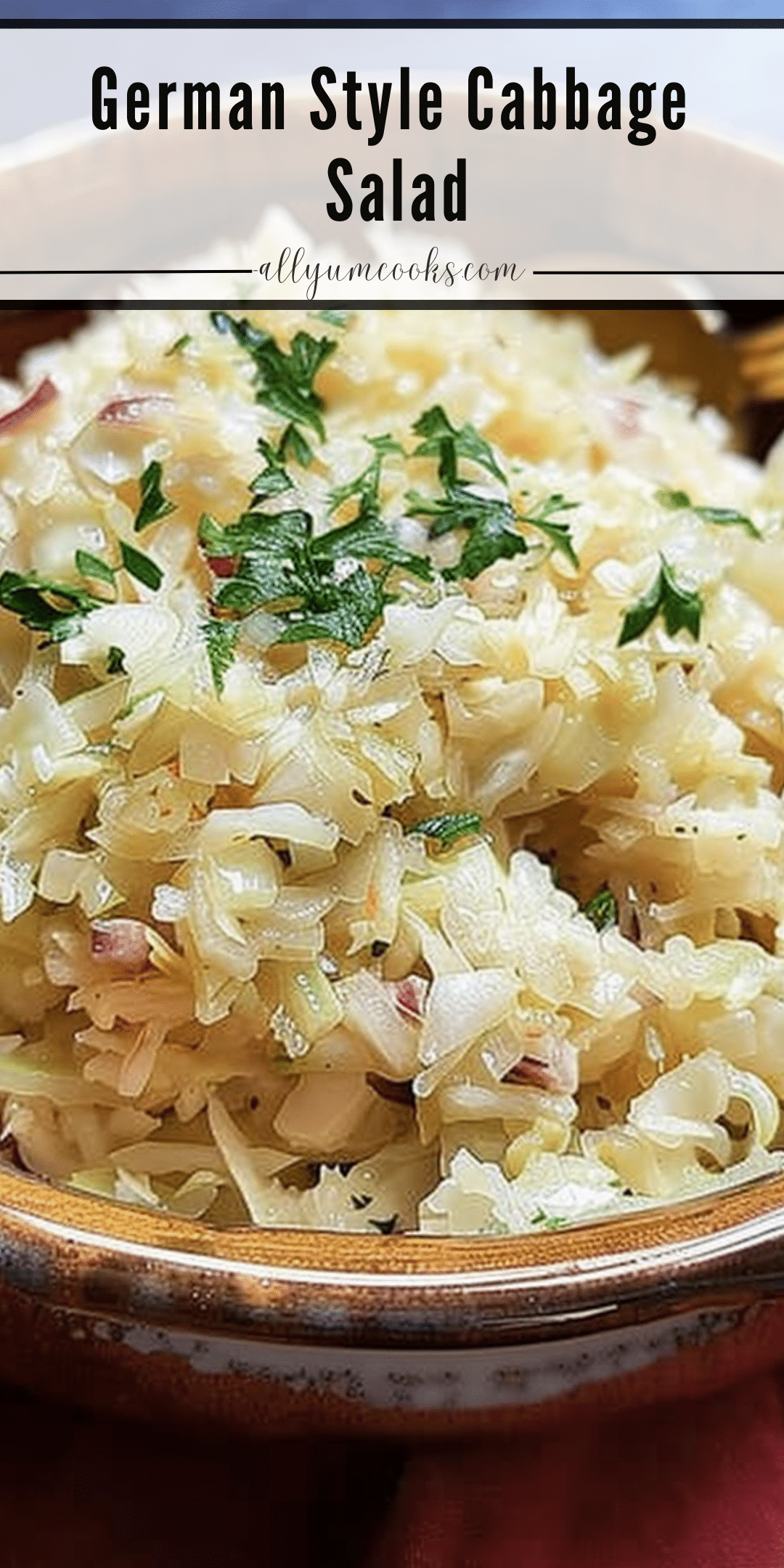 Easy German Style Cabbage Salad | All Yum Cooks