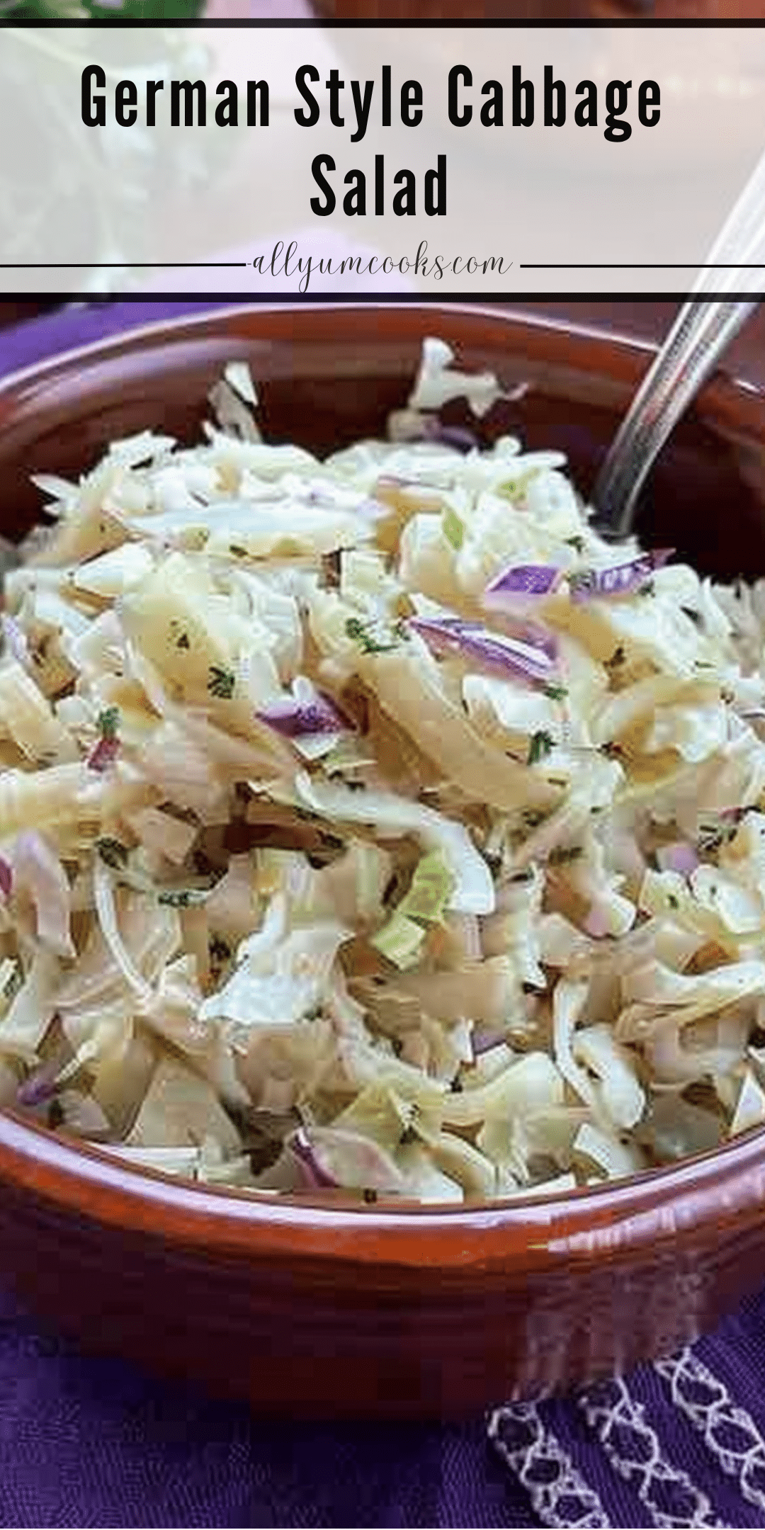 German Style Cabbage Salad | All Yum Cooks