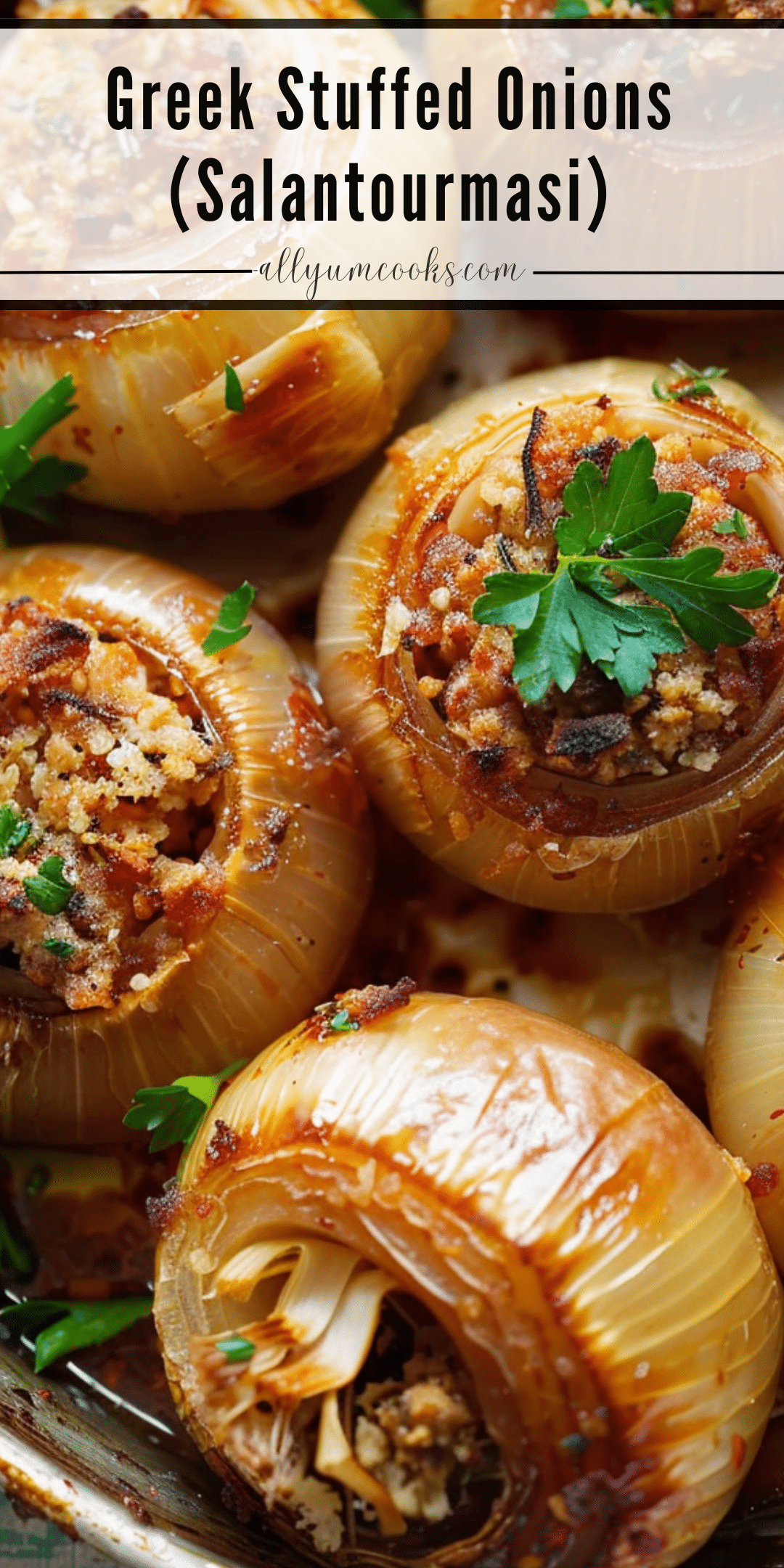 Greek Stuffed Onions (Salantourmasi) | All Yum Cooks