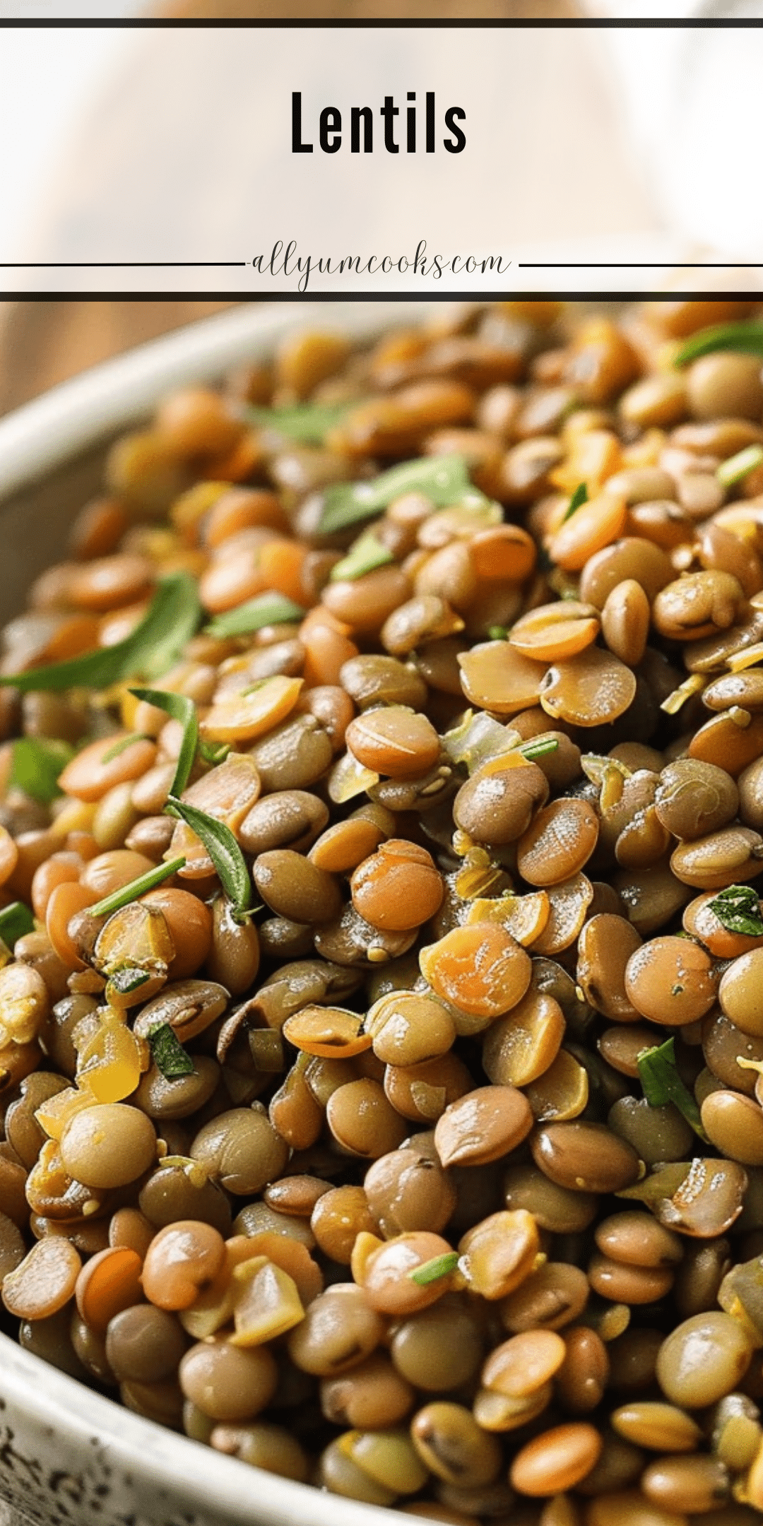Lentils | All Yum Cooks