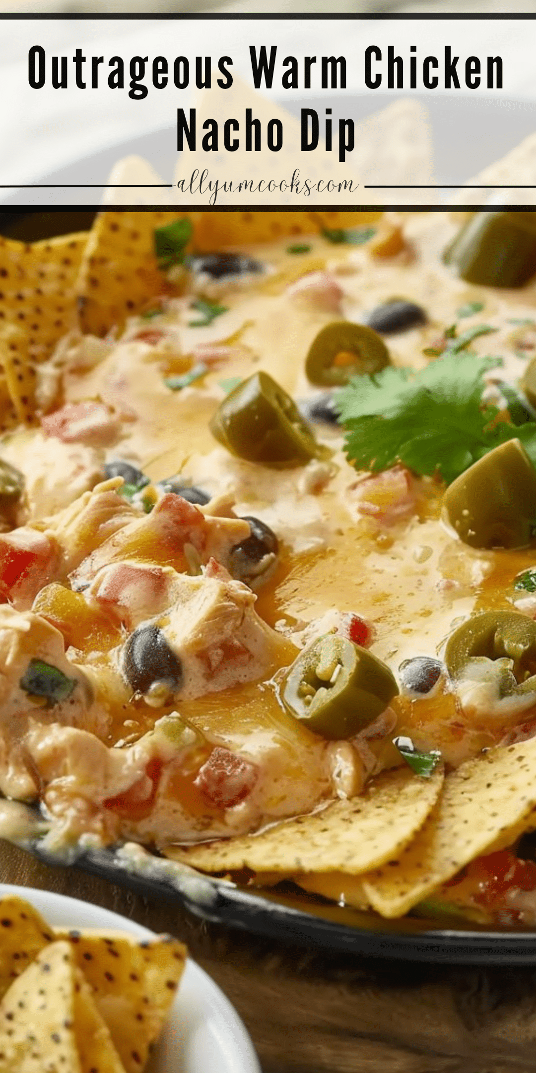 Outrageous Warm Chicken Nacho Dip | All Yum Cooks