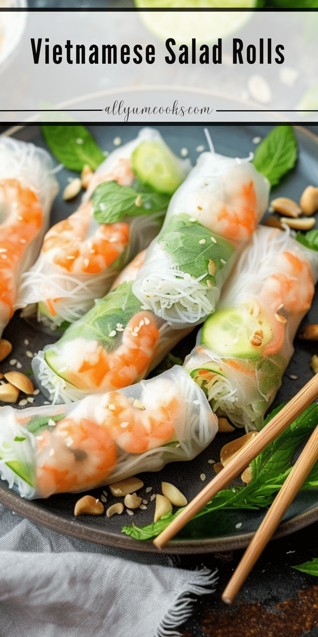 Vietnamese Salad Rolls | All Yum Cooks
