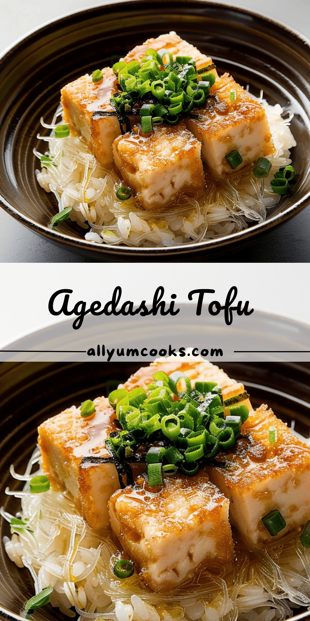 Agedashi Tofu | All Yum Cooks
