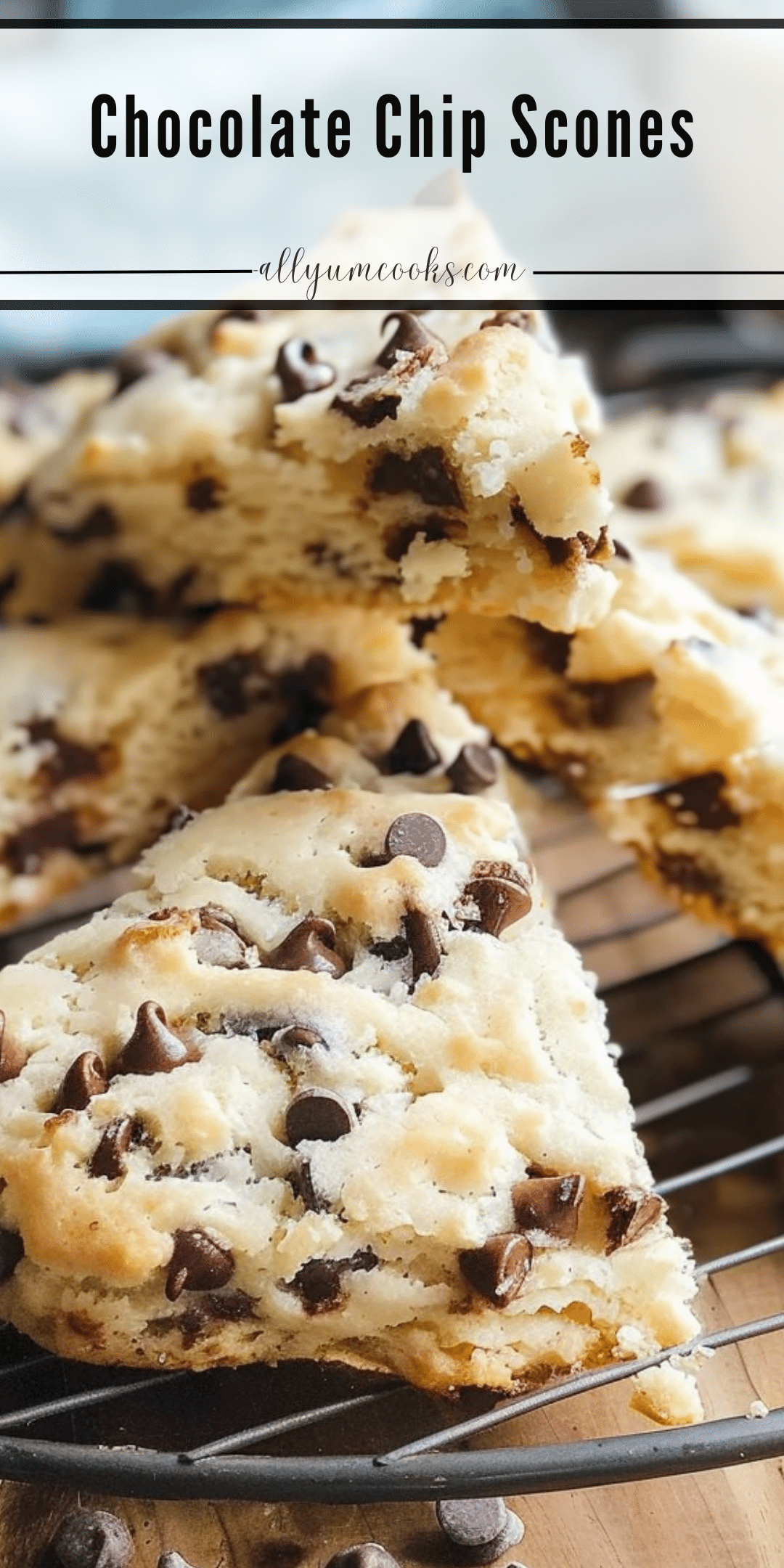 Chocolate Chip Scones | All Yum Cooks