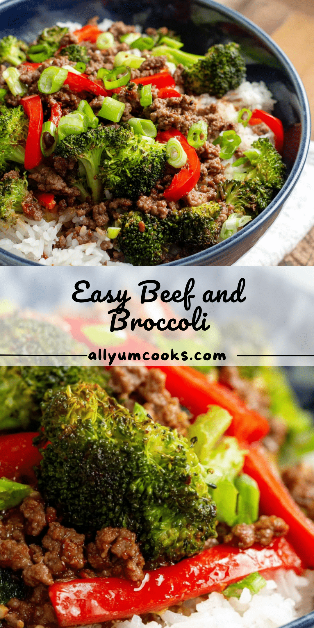 Easy Beef and Broccoli Recipe | All Yum Cooks