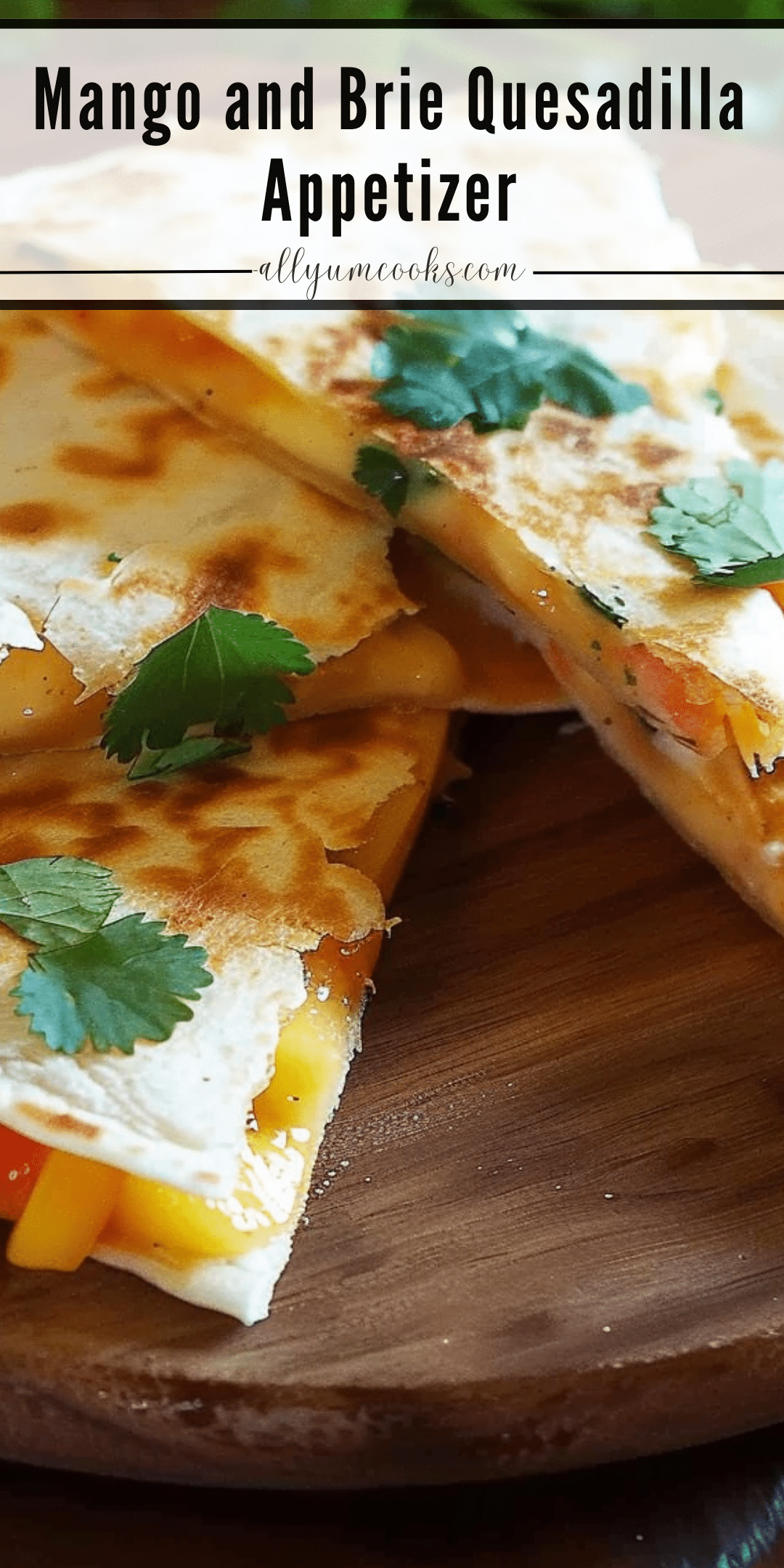 Easy Mango and Brie Quesadilla | All Yum Cooks