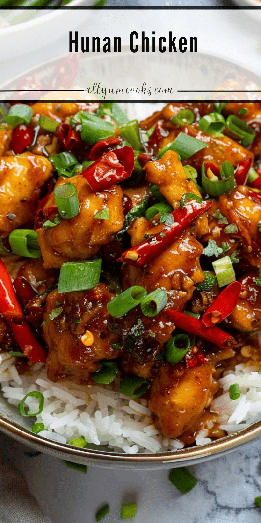Hunan Chicken | All Yum Cooks