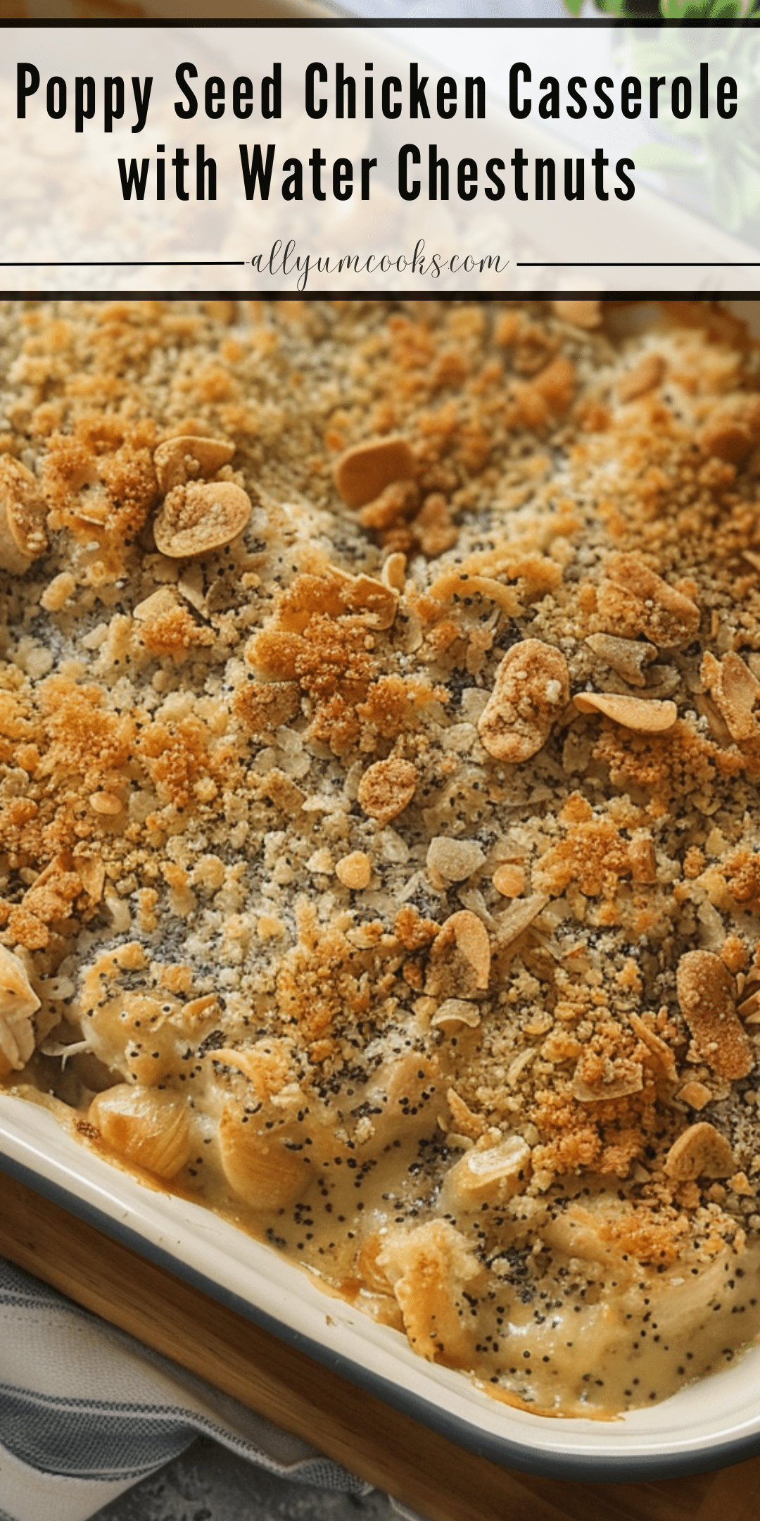 Poppy Seed Chicken Casserole with Water Chestnuts | All Yum Cooks