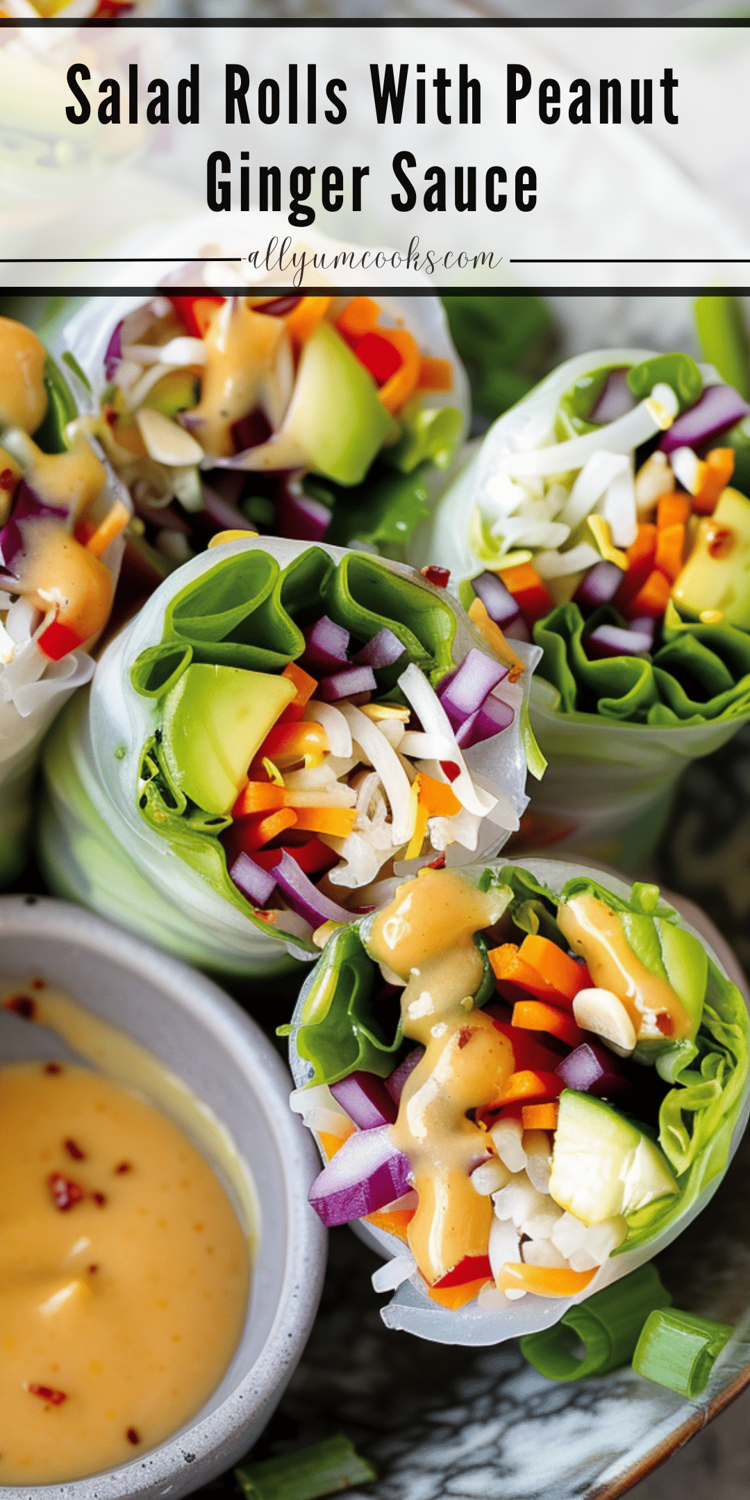Salad Rolls With Peanut Ginger Sauce | All Yum Cooks