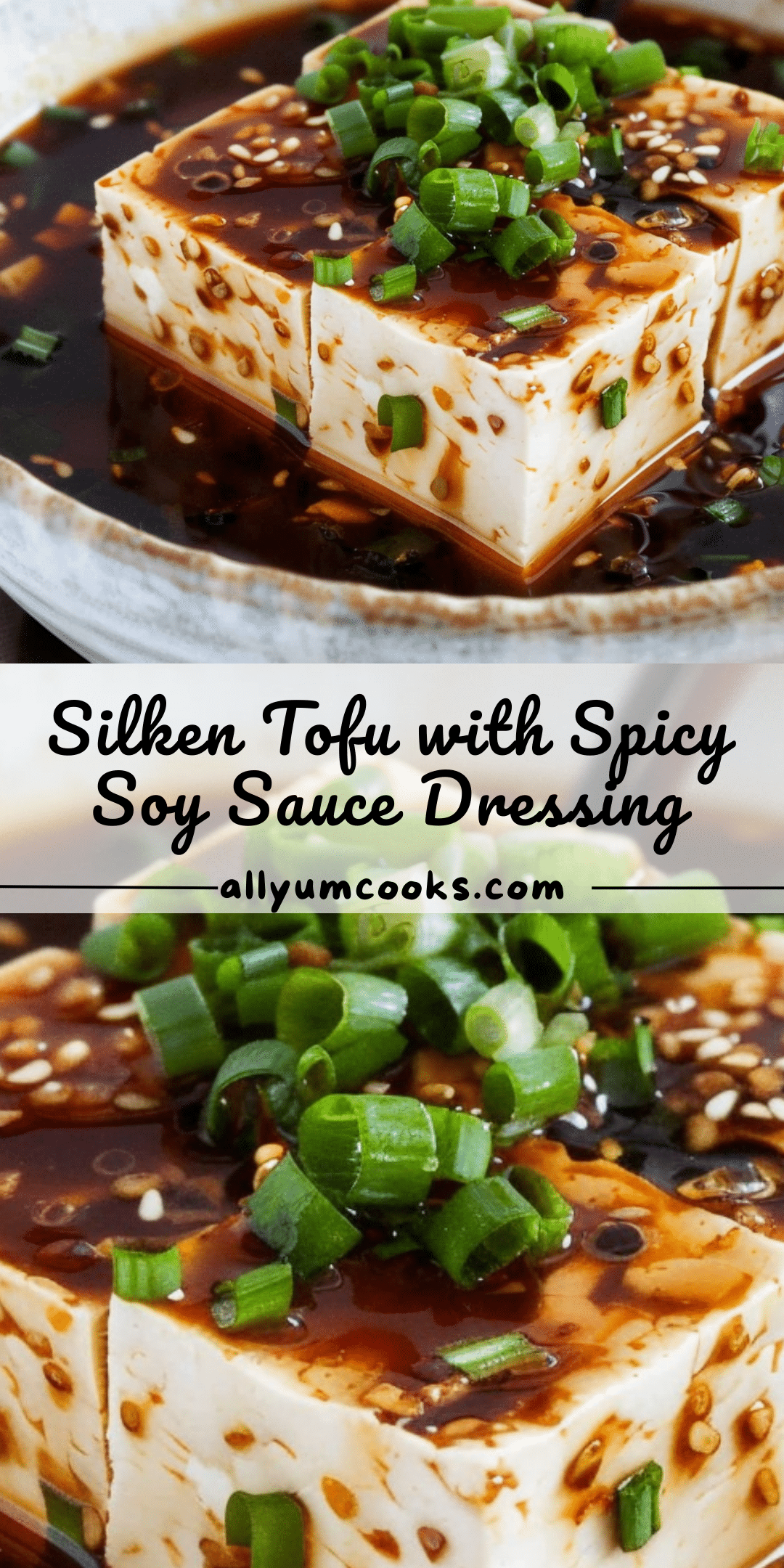 Silken Tofu with Spicy Soy Sauce Dressing | All Yum Cooks