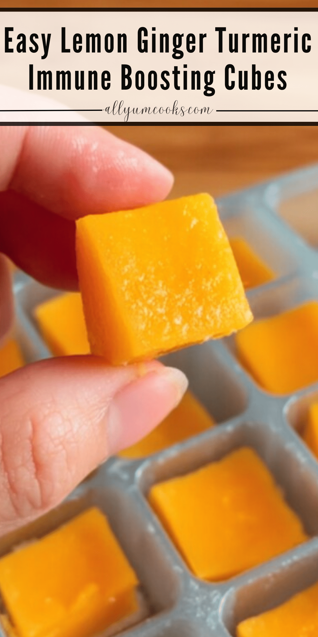 Lemon Ginger Turmeric Cubes: The Ultimate Natural Immune Booster